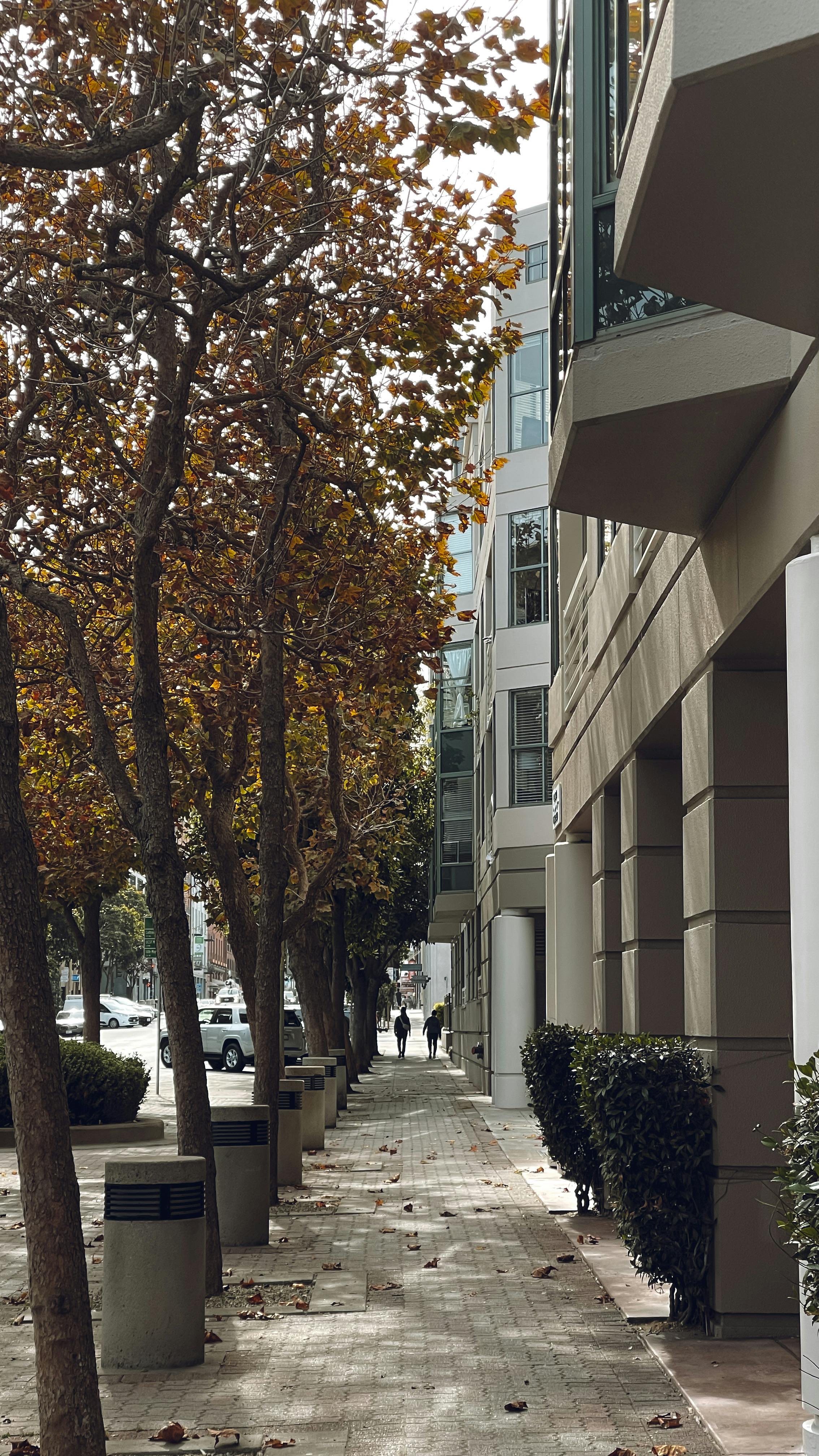Sidewalk near House · Free Stock Photo