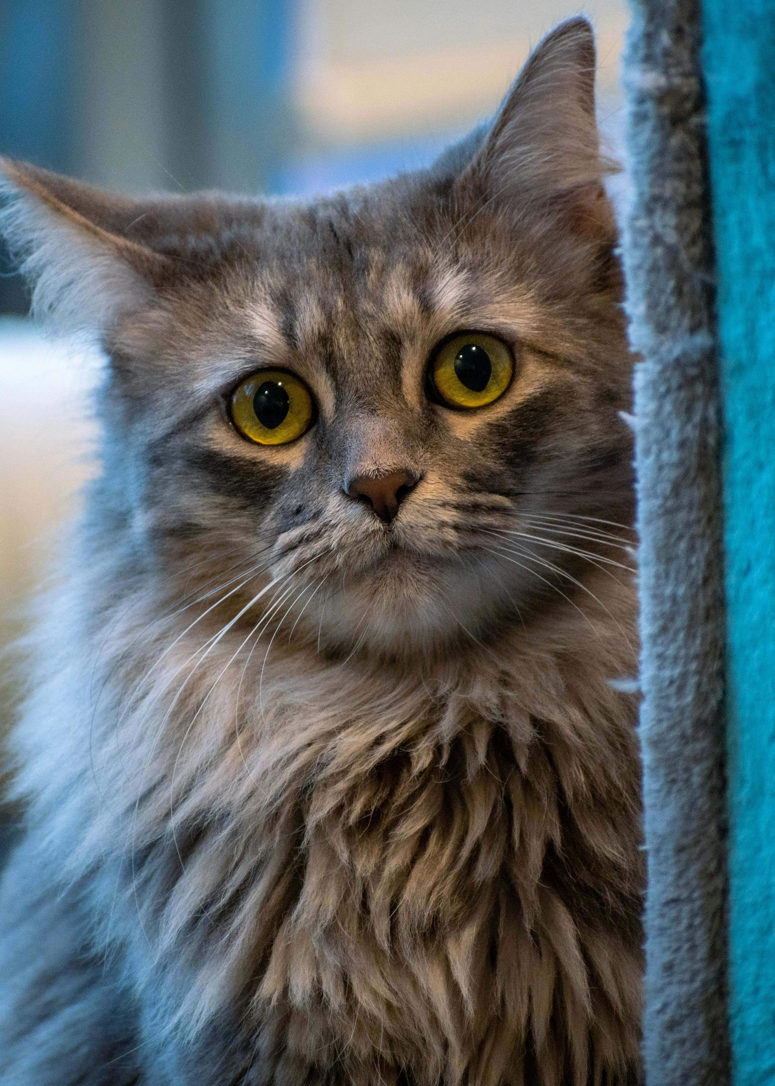 Curiosity Anime Photos, Download The BEST Free Curiosity Anime Stock ...