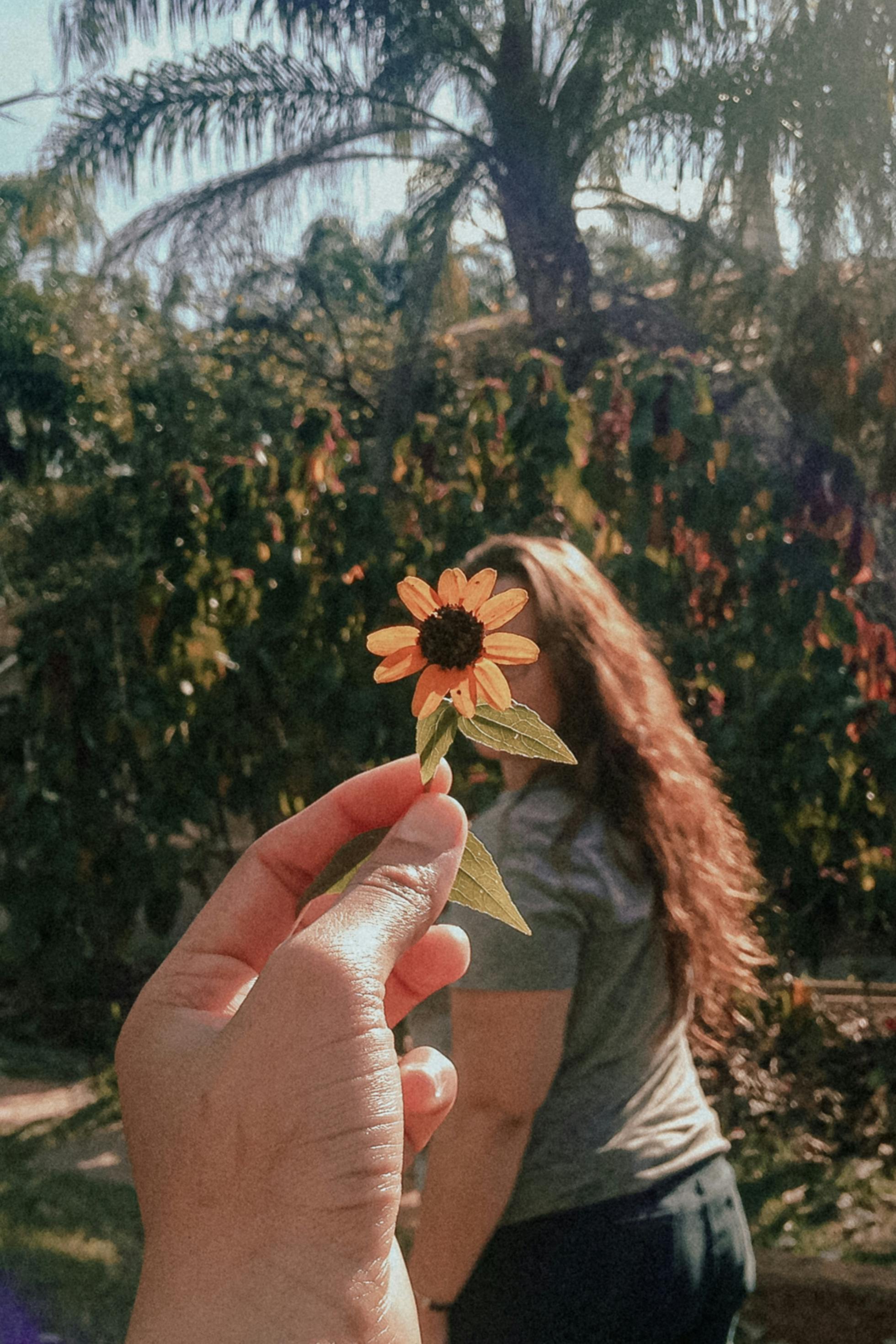 Photo of a Woman in a Garden, behind a Flower · Free Stock Photo