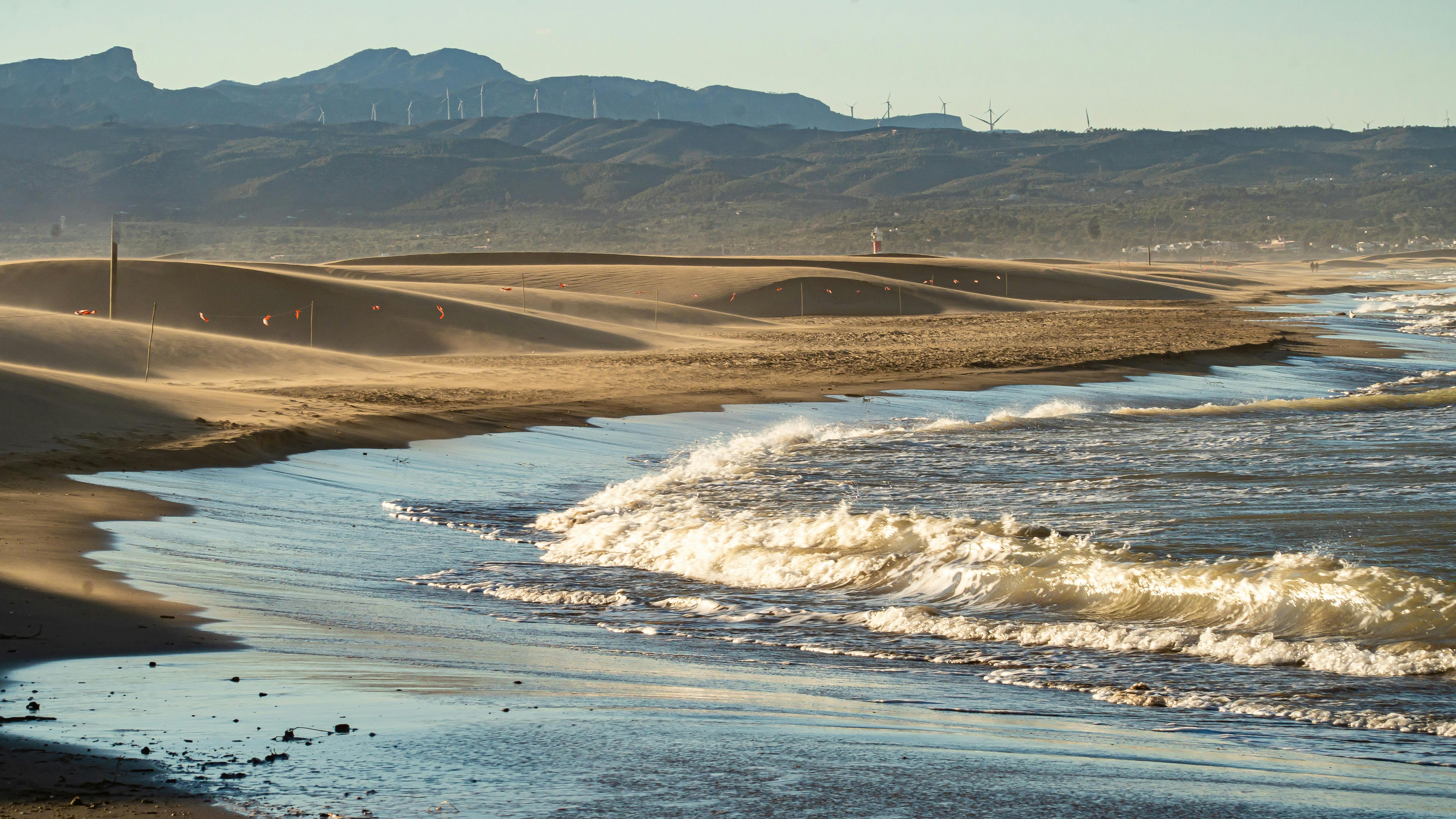 A Wave Washing up the Shore · Free Stock Photo