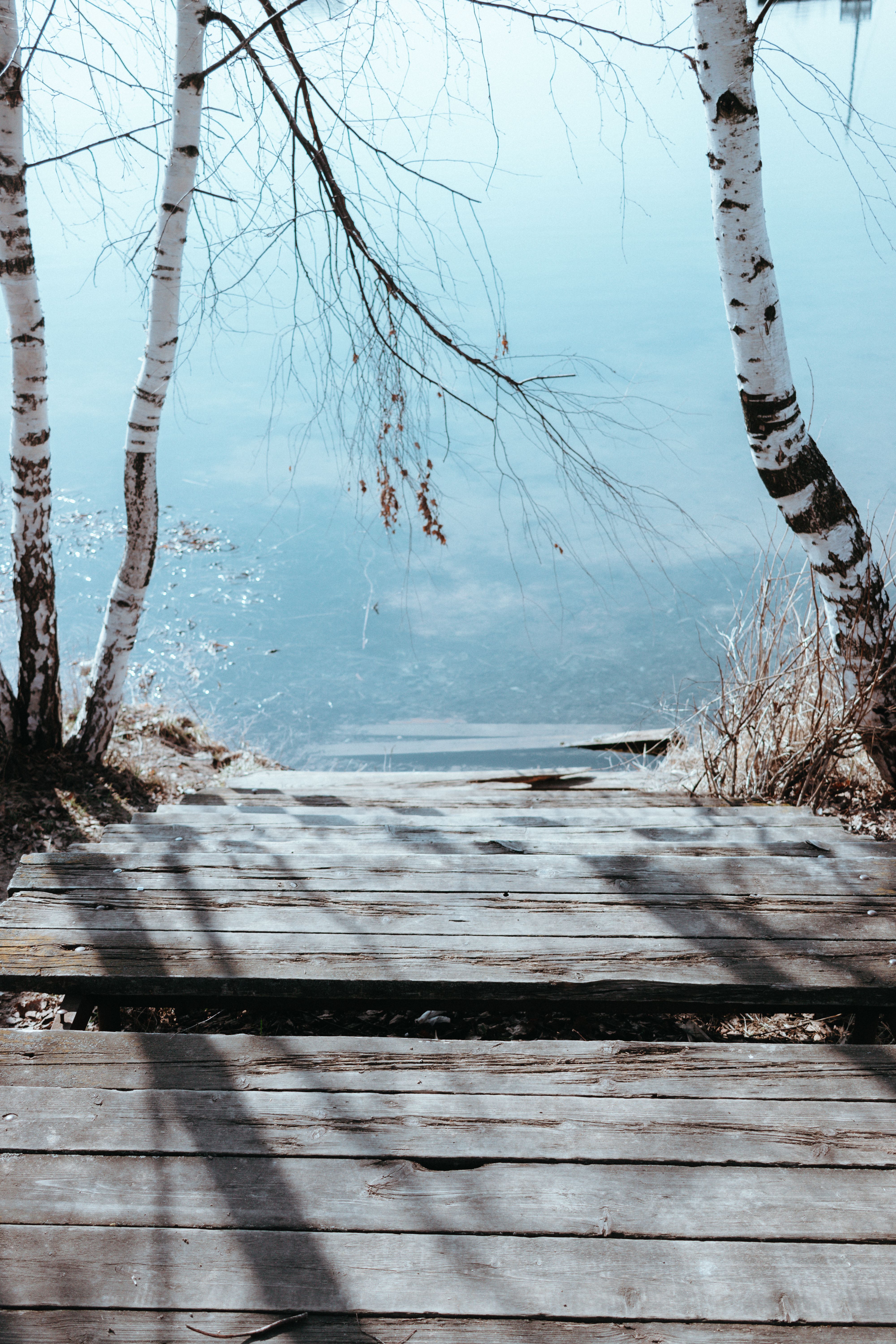 Wooden Steps Leading into the Lake · Free Stock Photo