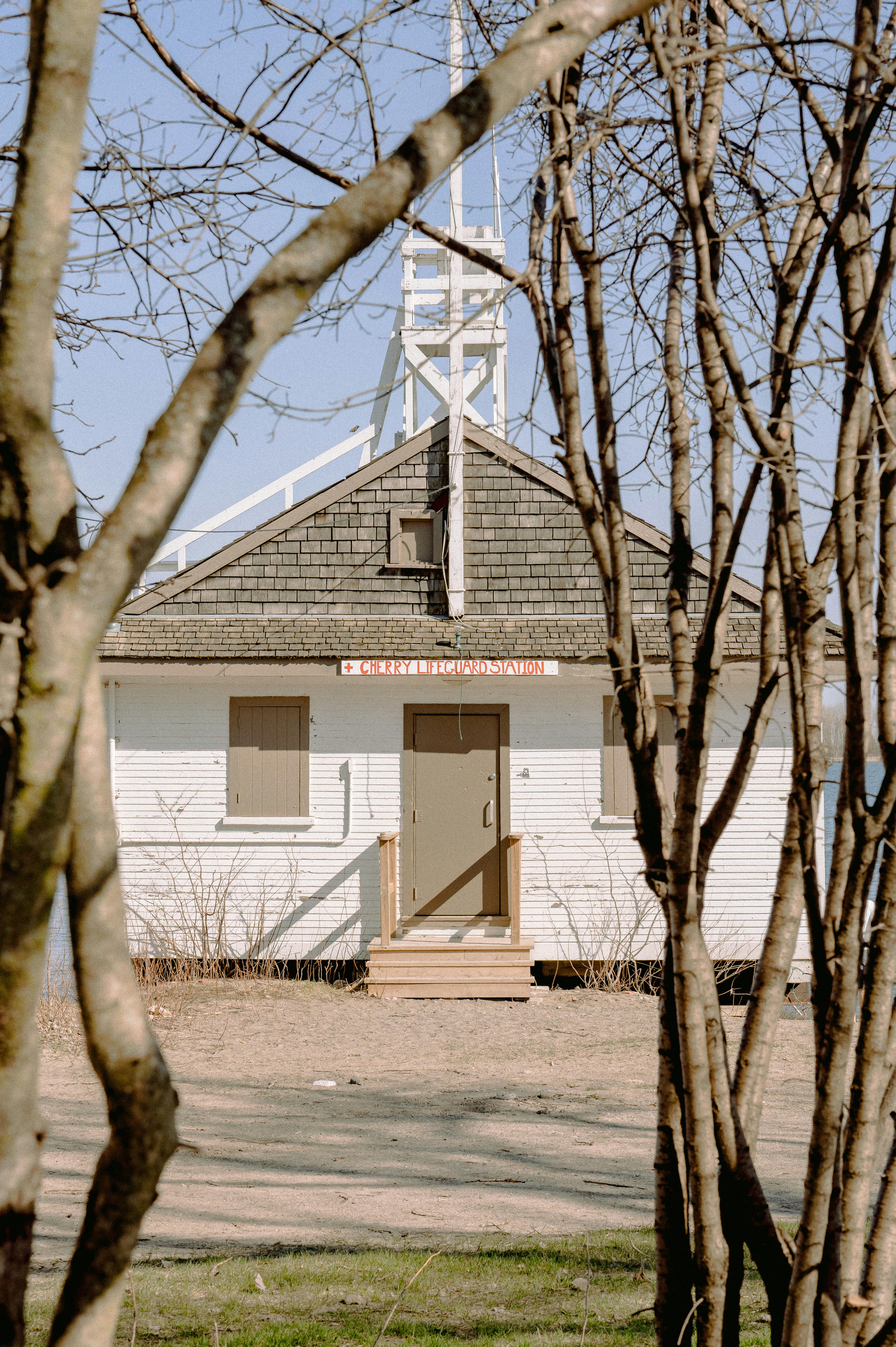 Trees and Sunlit House behind · Free Stock Photo