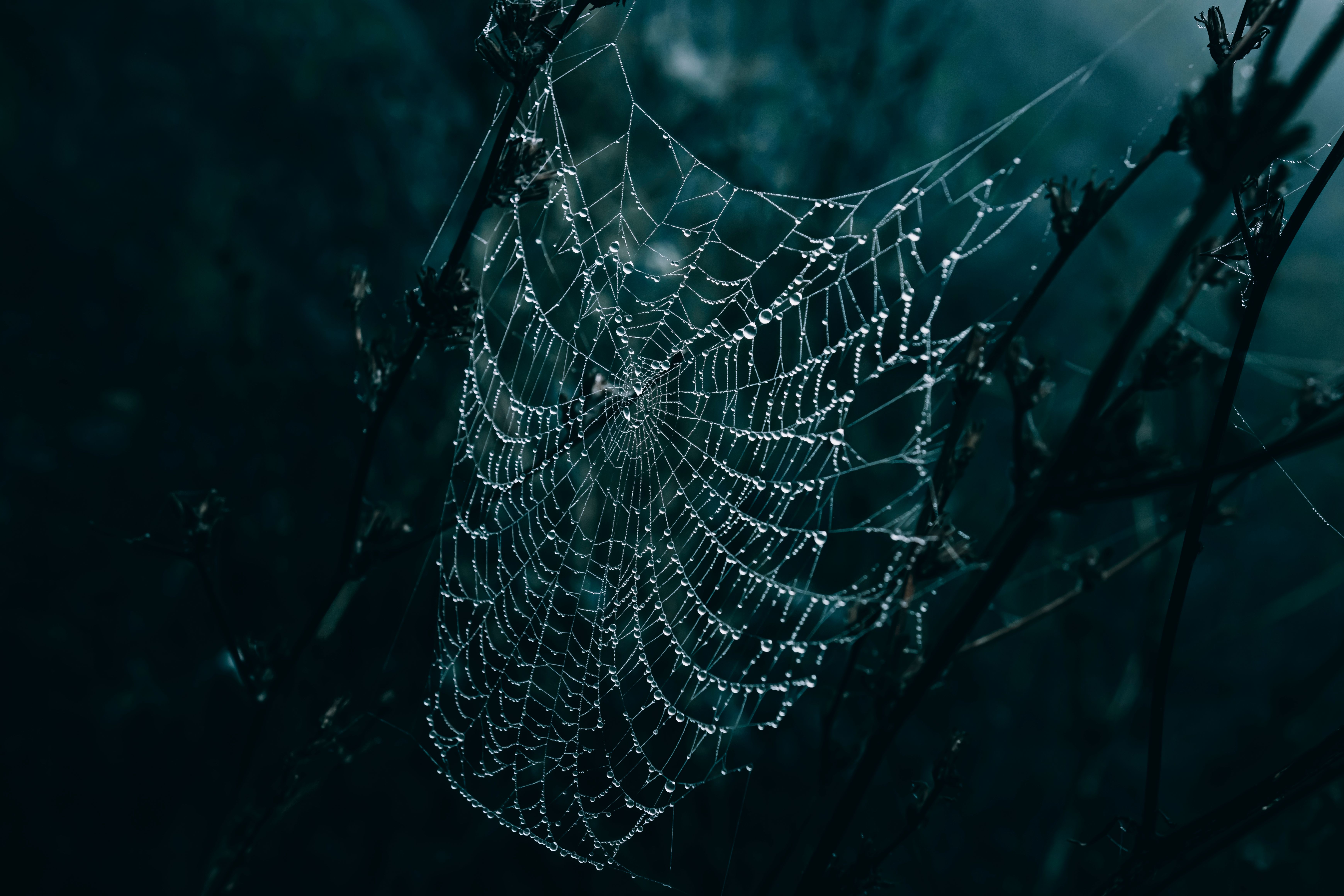 Turn Net Photos, Download The BEST Free Turn Net Stock Photos & HD Images