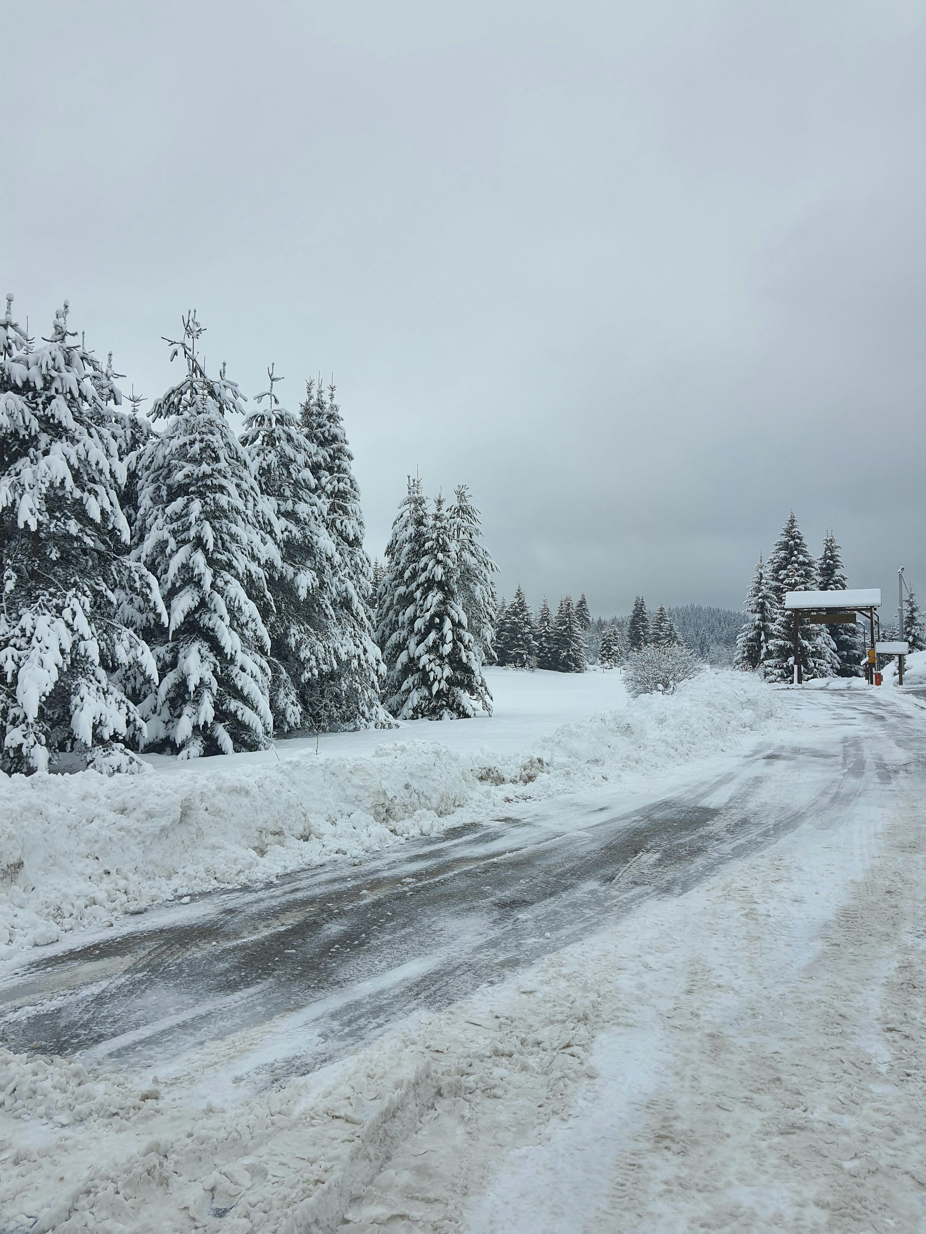 Forest and a Road in Winter · Free Stock Photo