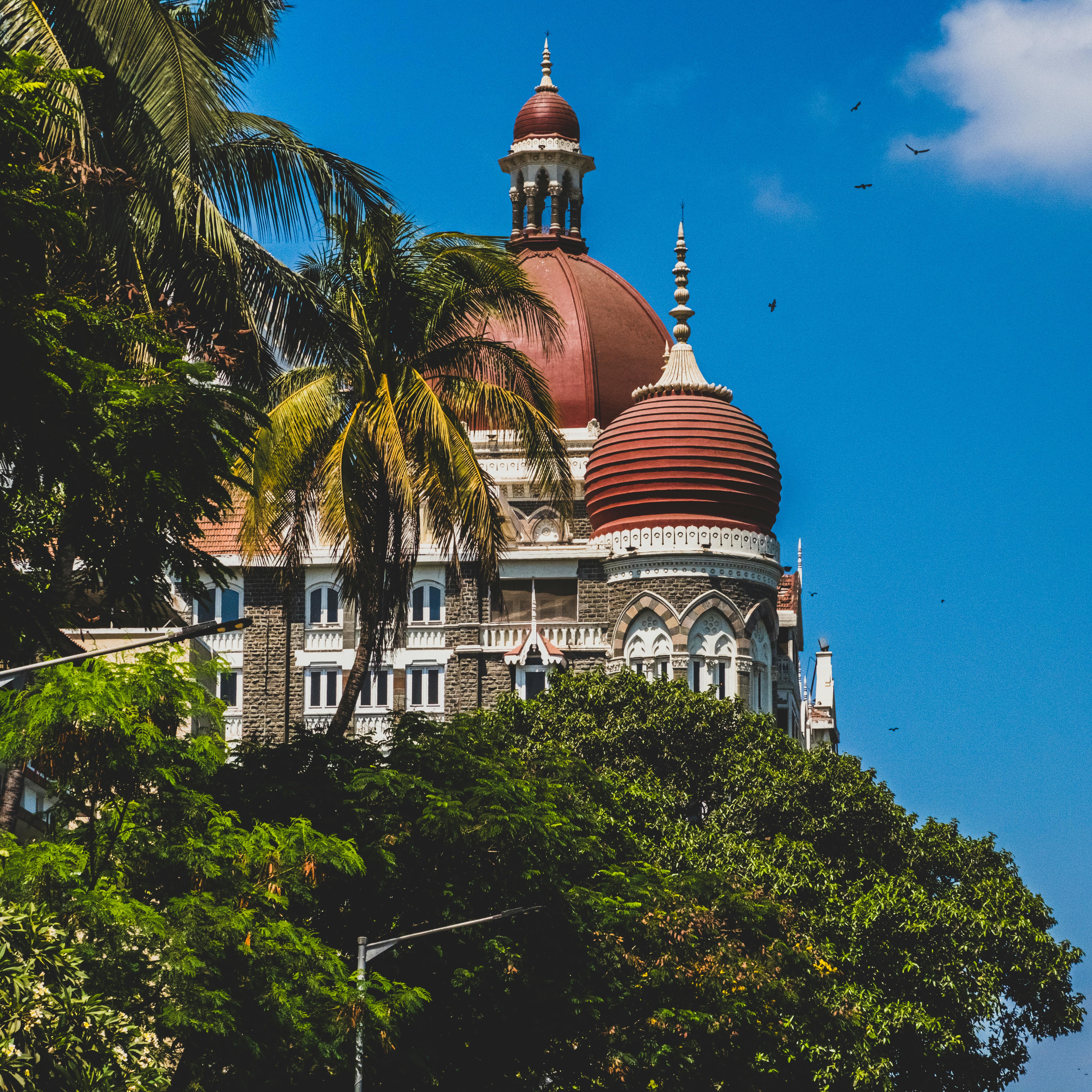 Trees and Taj Mahal Palace behind · Free Stock Photo
