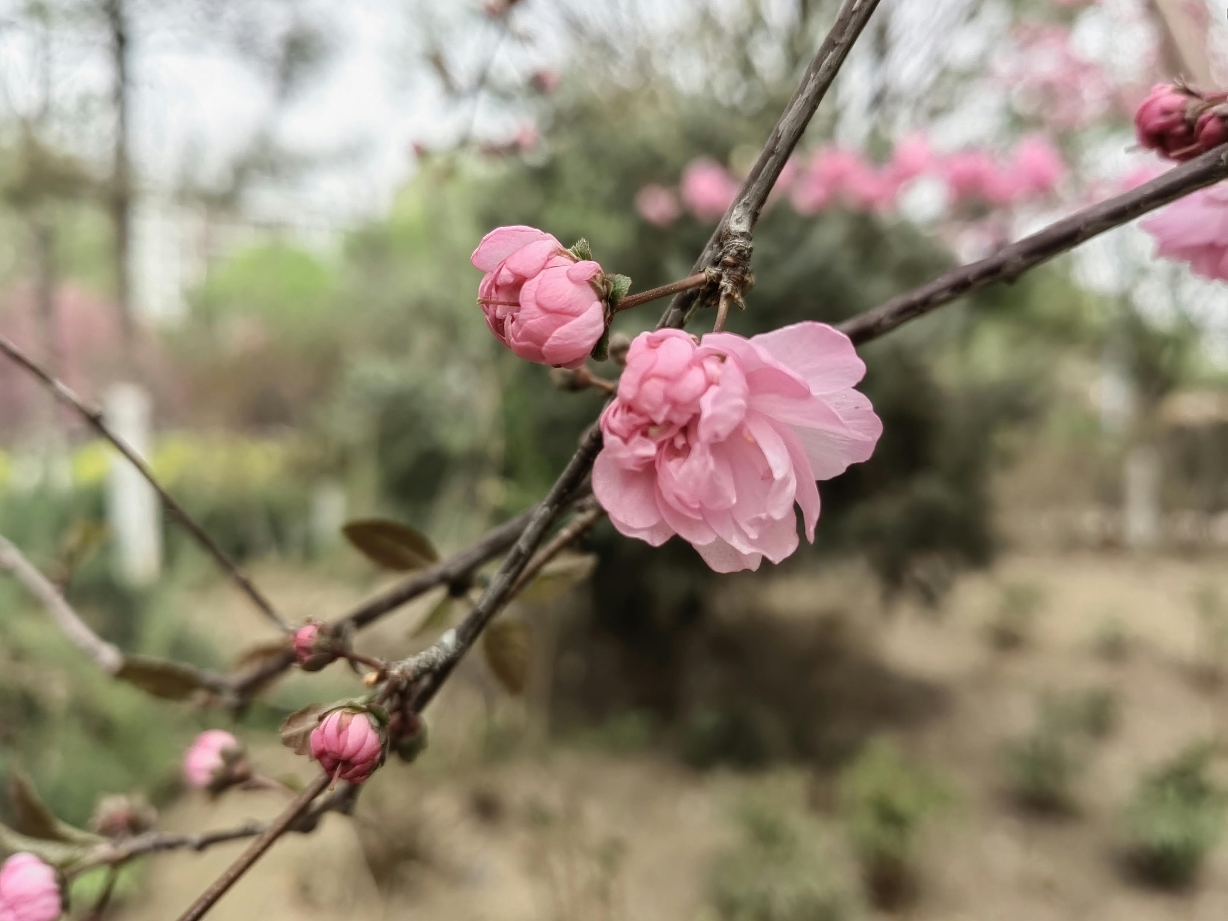 Huffman Hwang - Photography