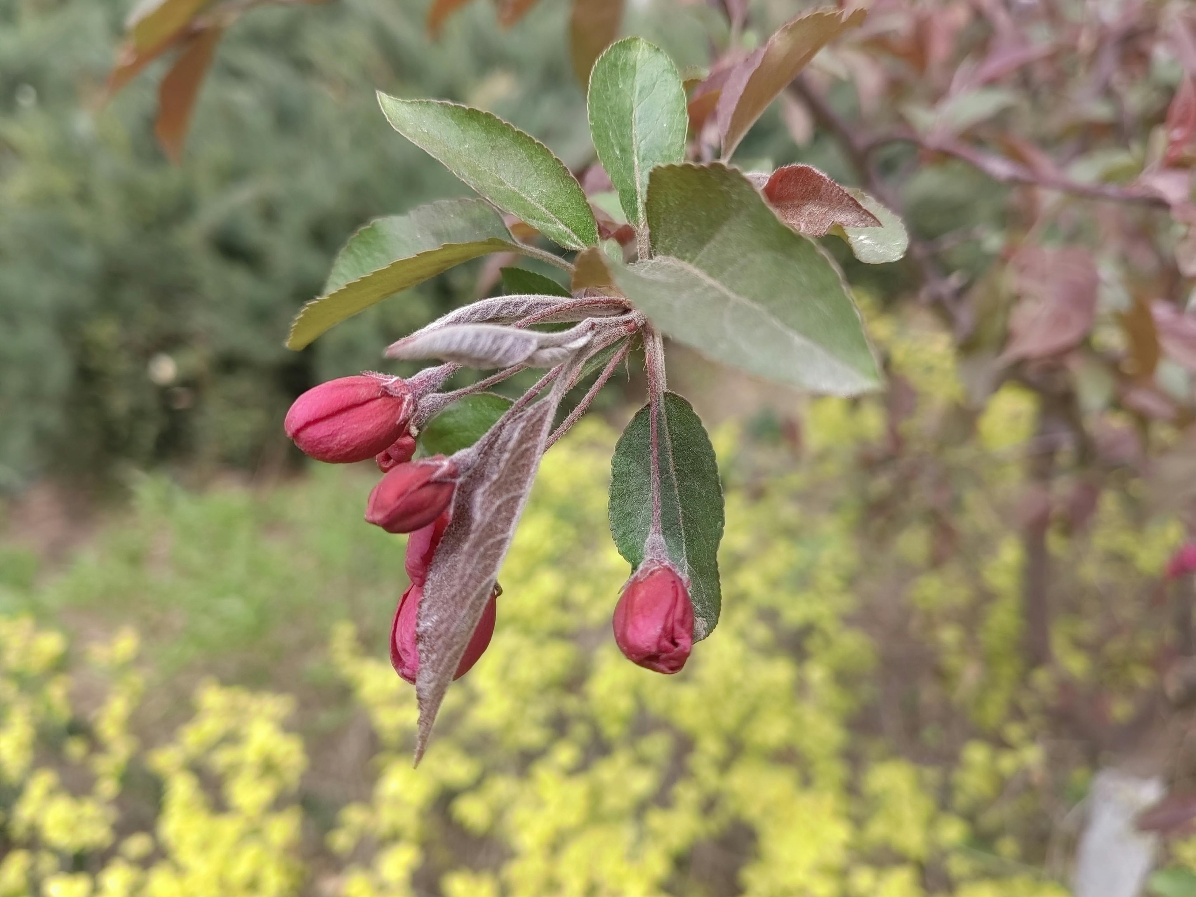 Huffman Hwang - Photography