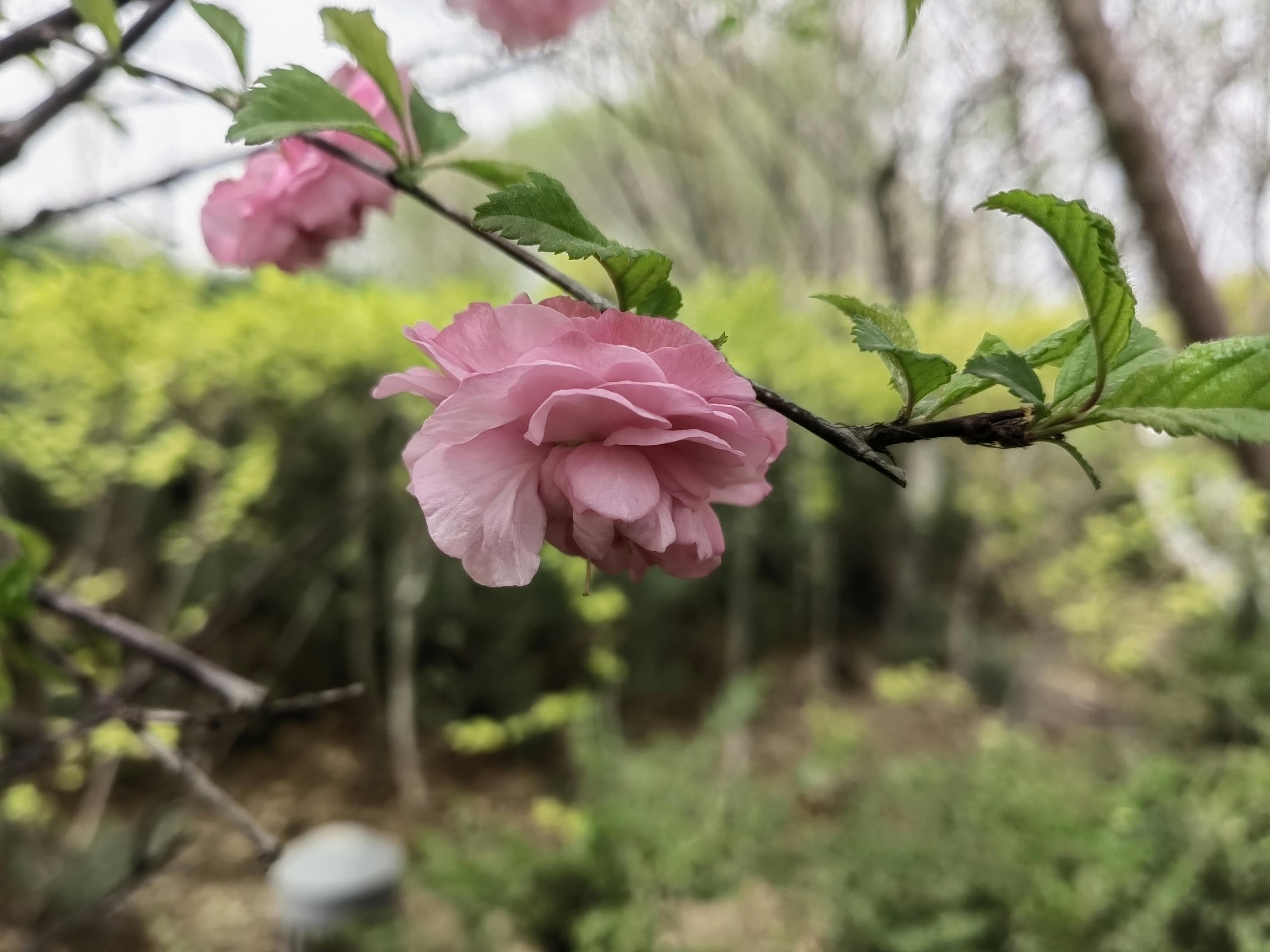 Huffman Hwang - Photography