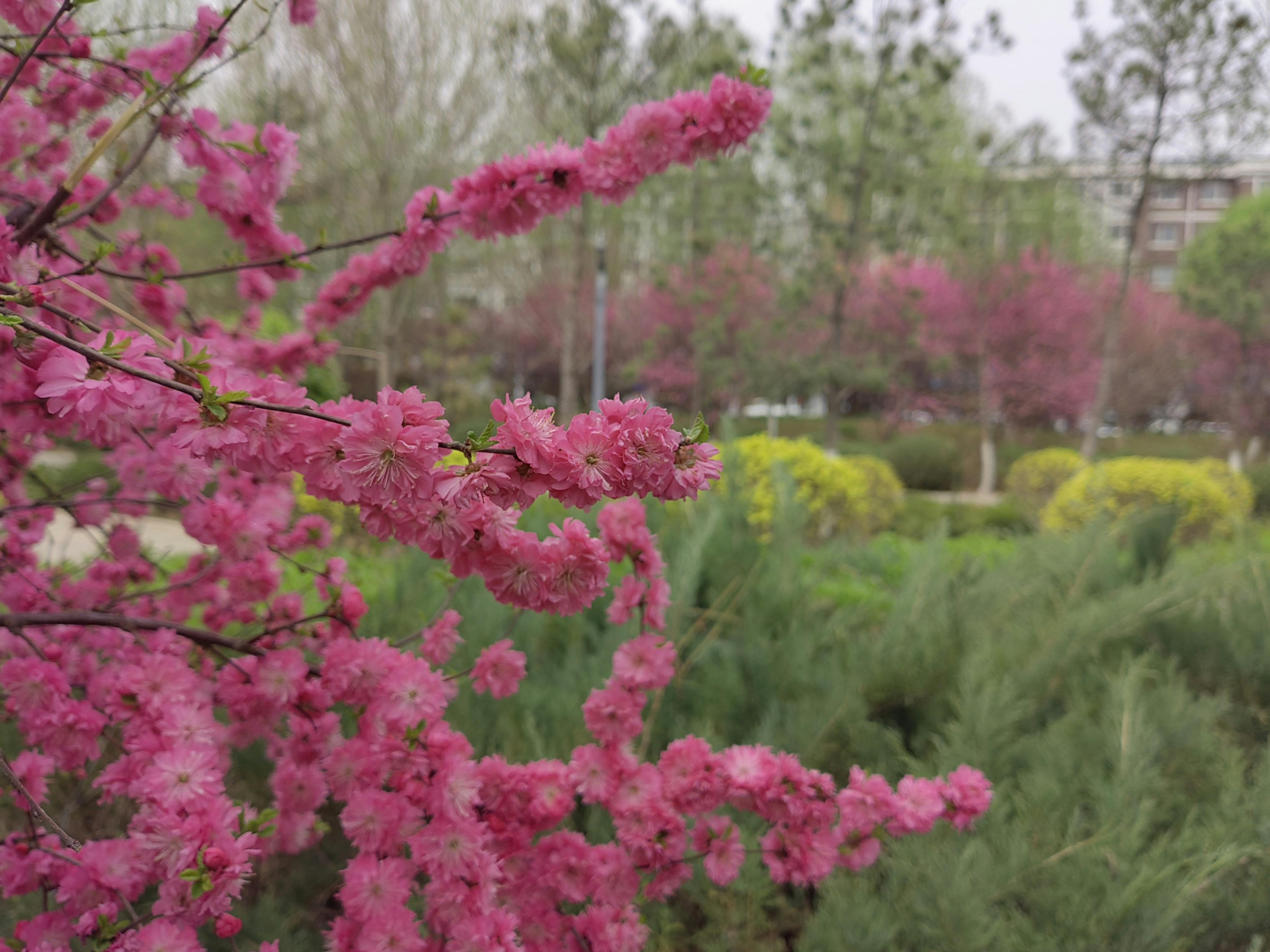 Huffman Hwang - Photography