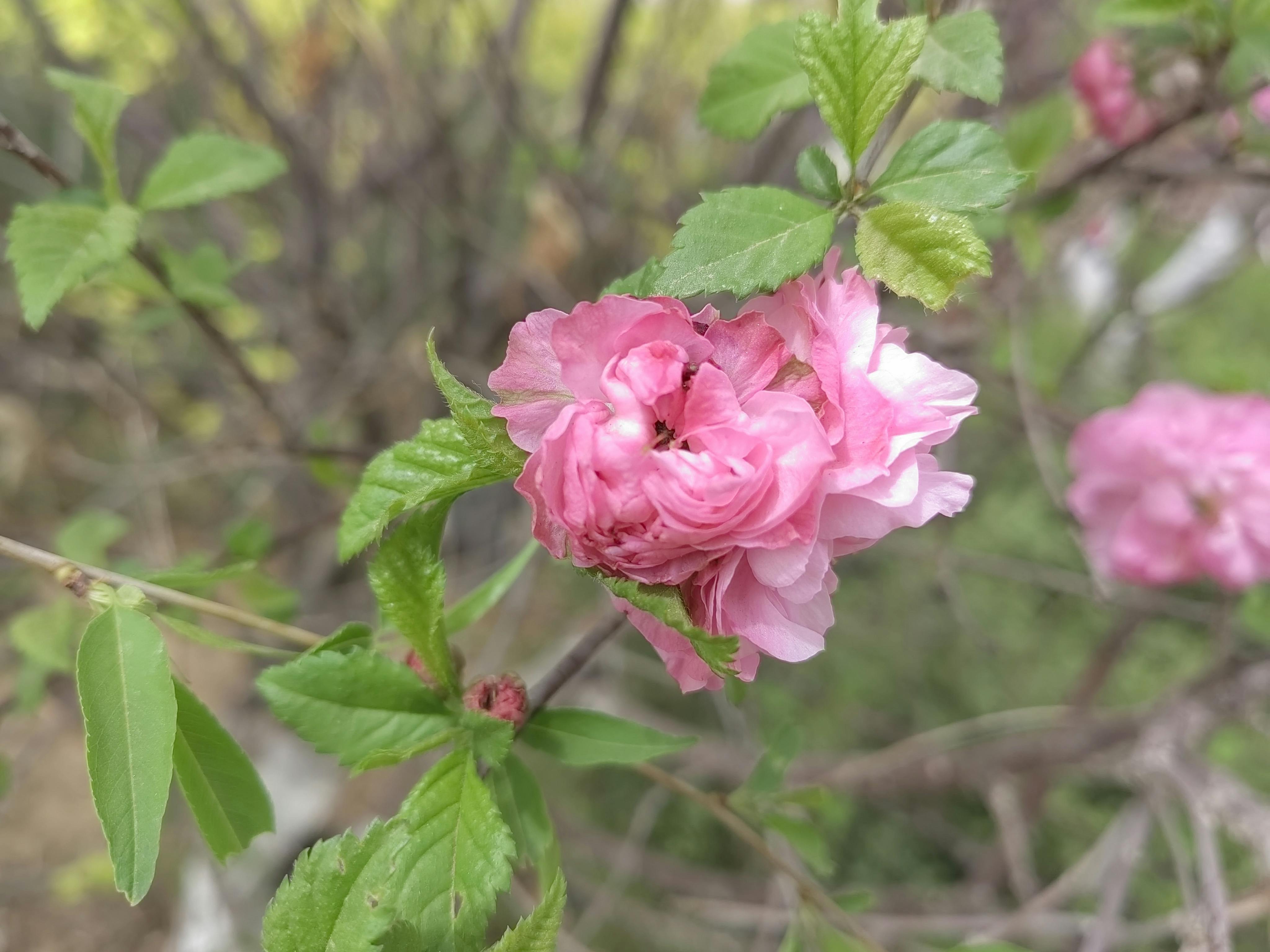 Huffman Hwang - Photography