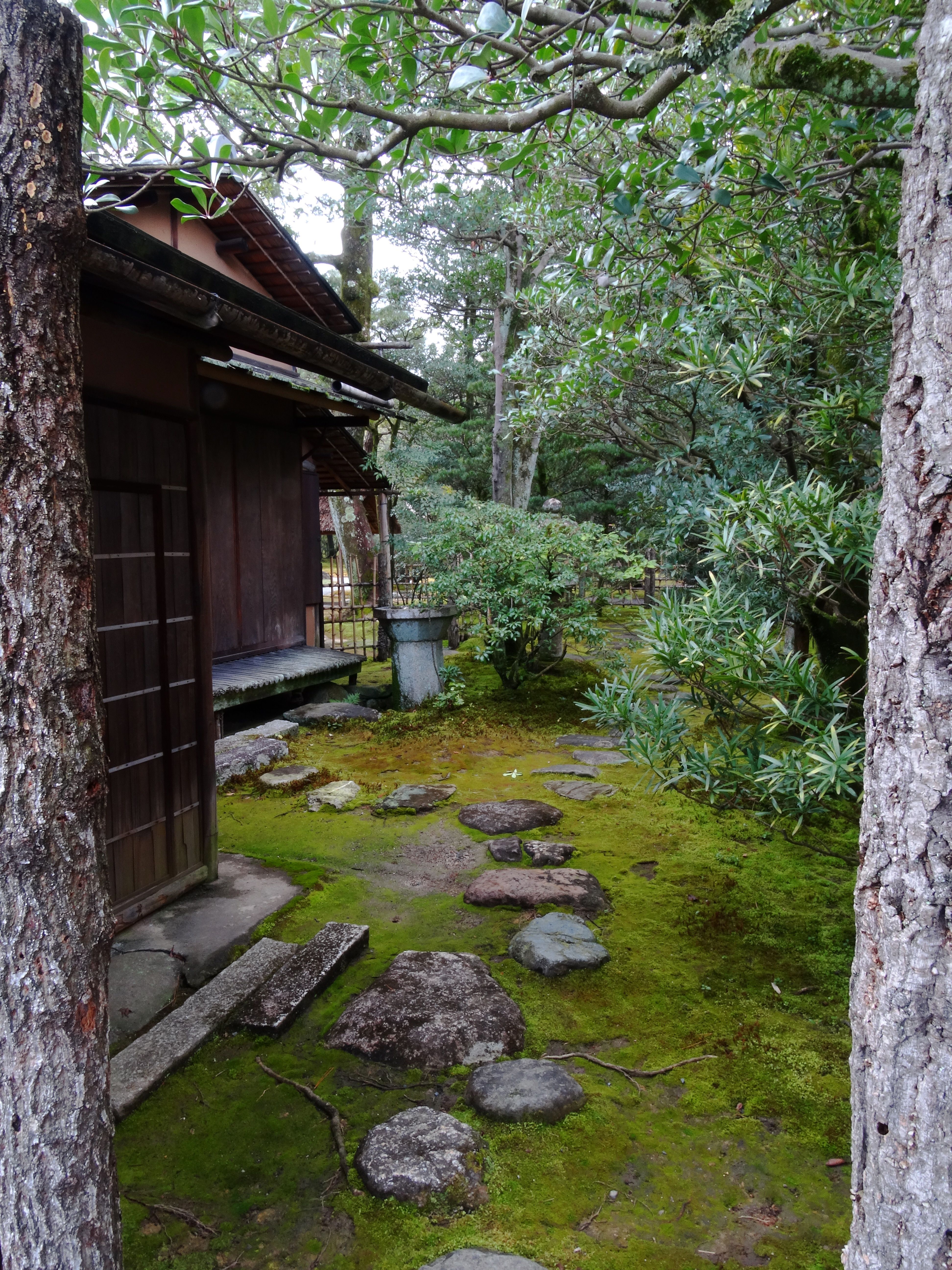 Cabin in Forest · Free Stock Photo