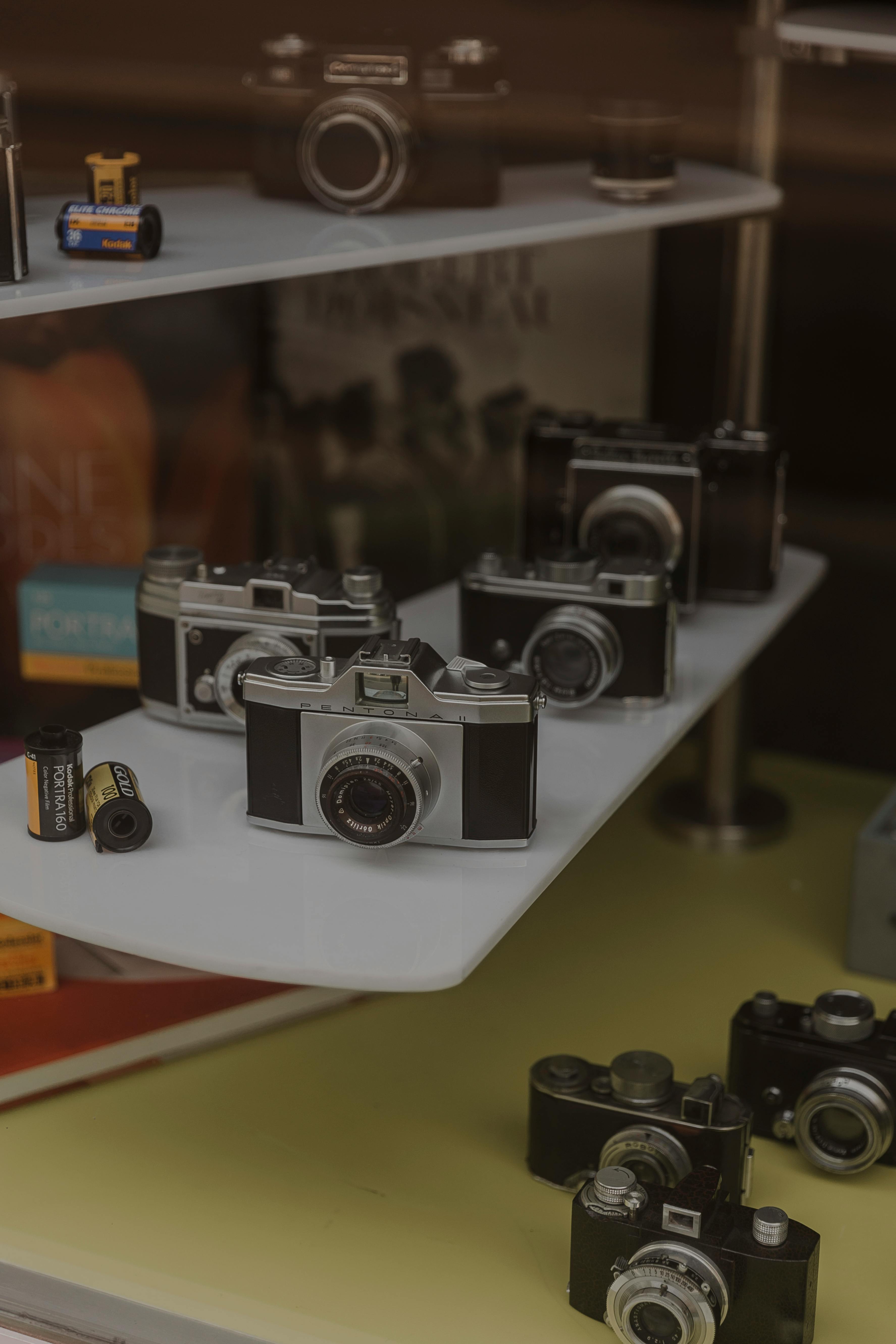 Vintage Cameras on Shelves · Free Stock Photo