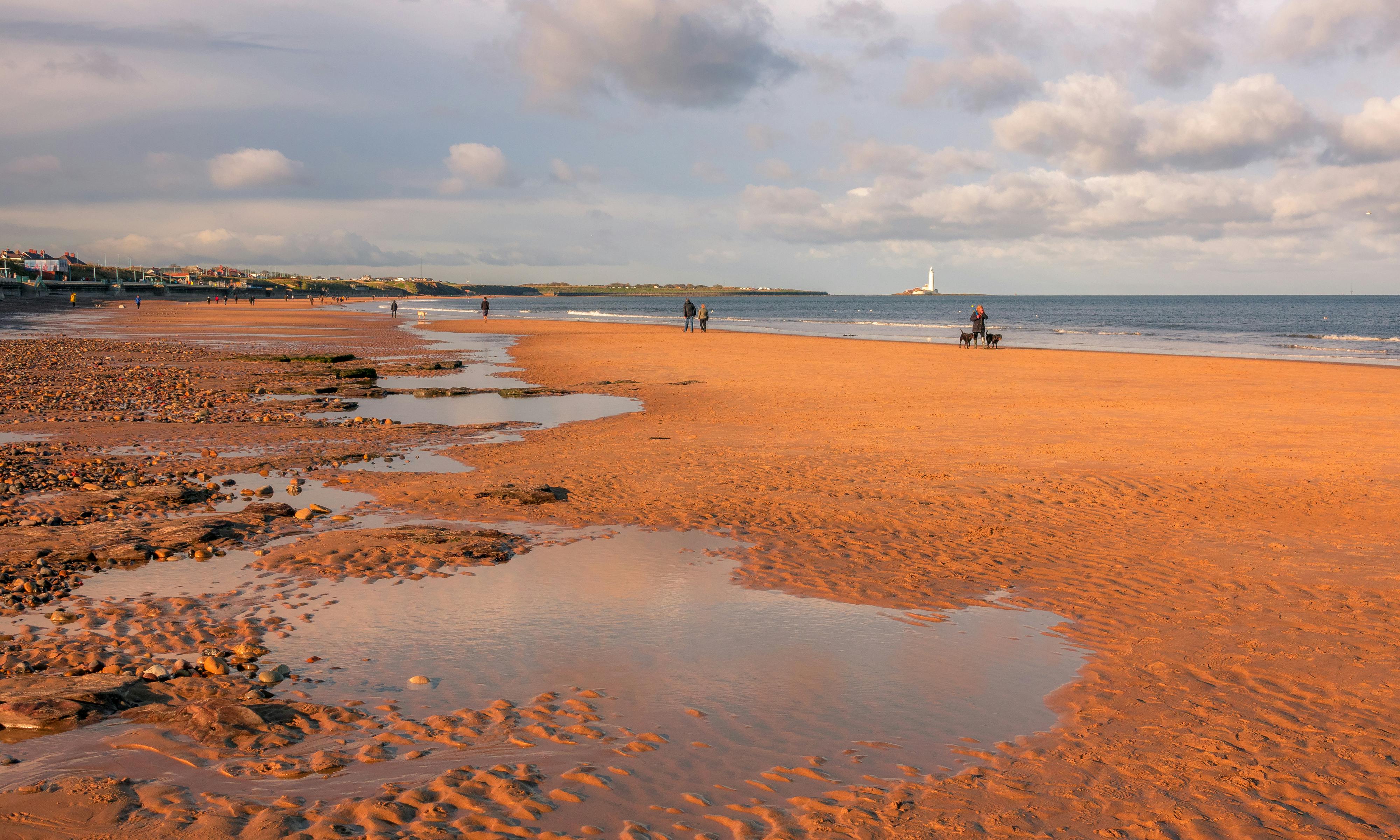 Puddles on Beach · Free Stock Photo