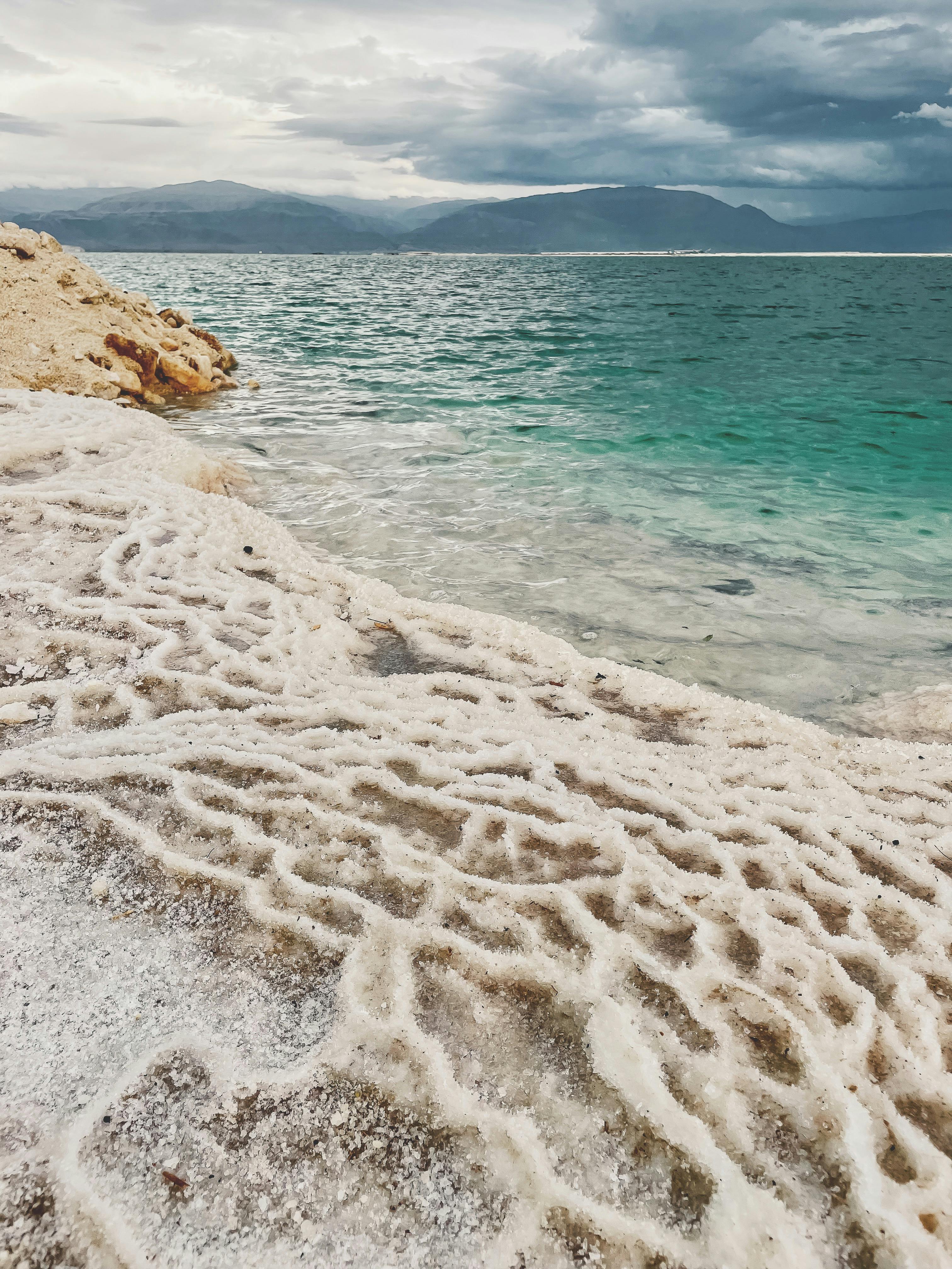Shapes on Sand on Sea Shore · Free Stock Photo