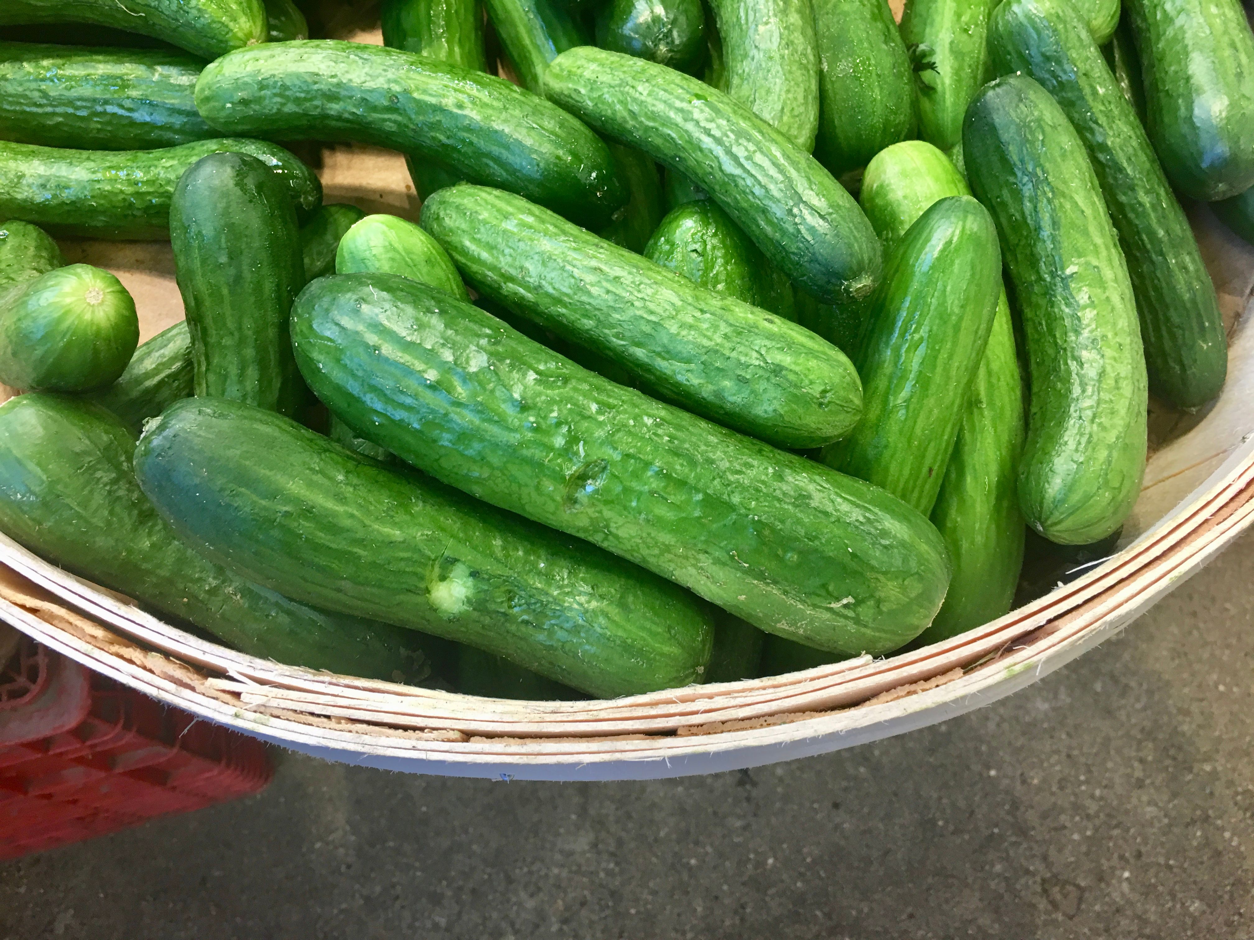 Free stock photo of cucumber, food, free download