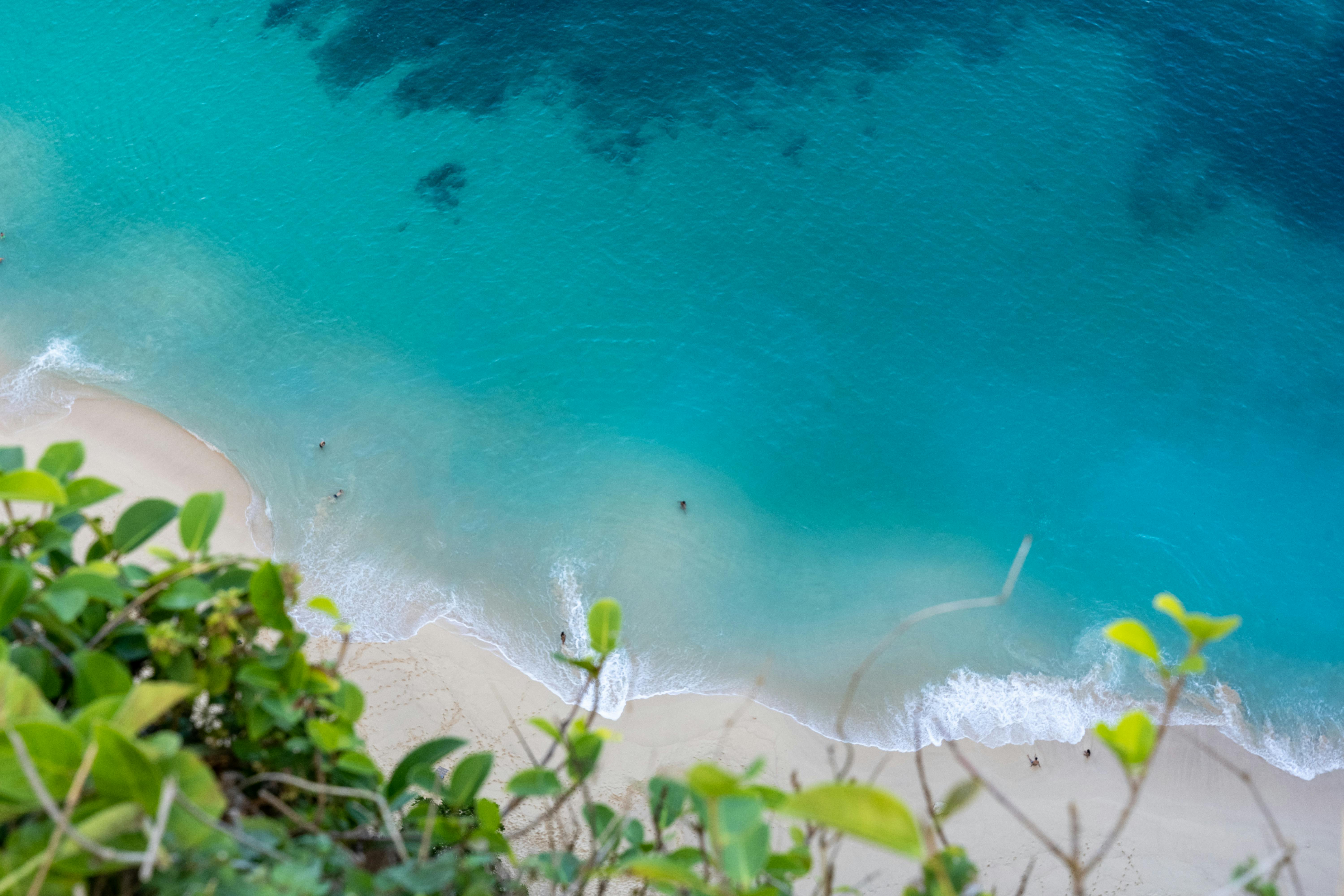 Birds Eye View of Sea Shore · Free Stock Photo