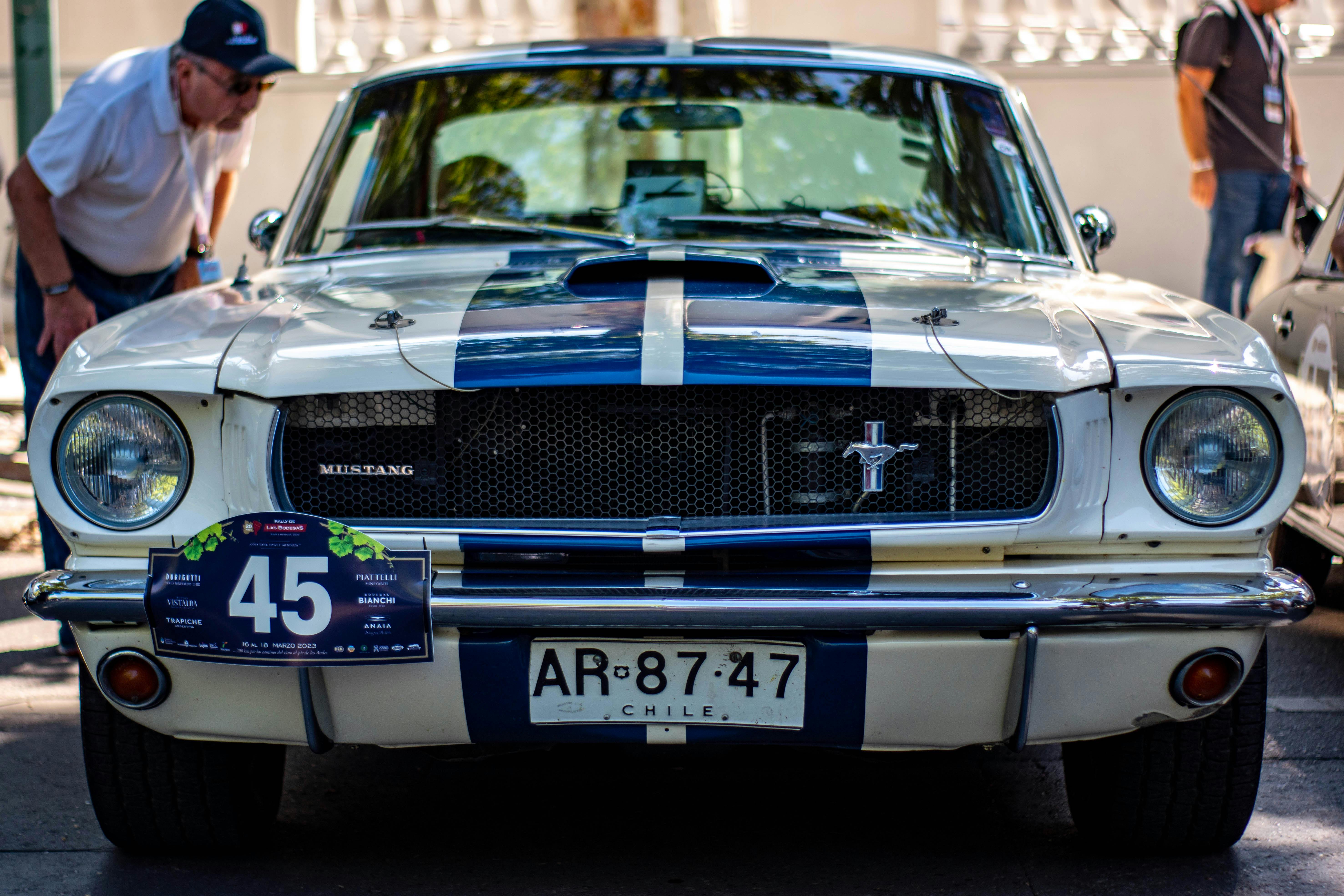 Mustangs Photos, Download The BEST Free Mustangs Stock Photos & HD Images