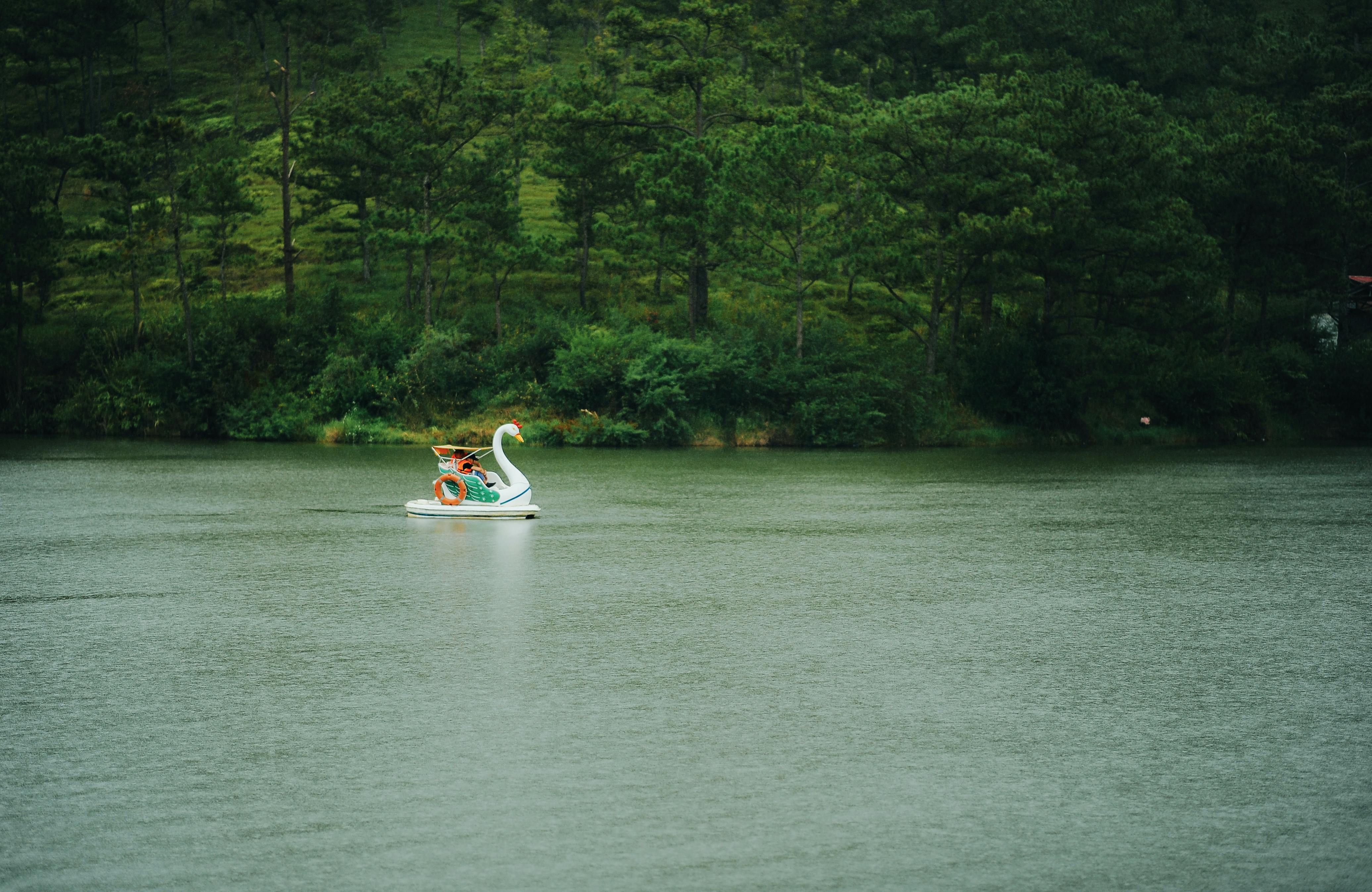 Person Riding on Swan Boat · Free Stock Photo