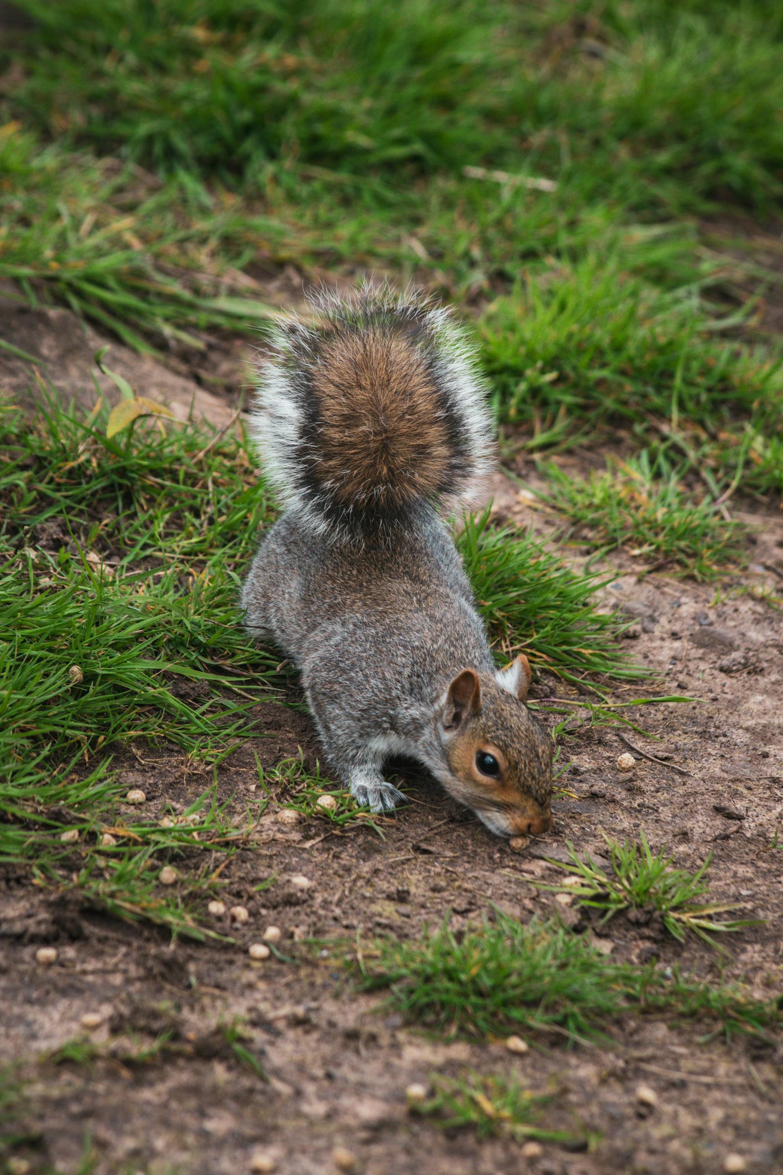 Looking For Photos, Download The BEST Free Looking For Stock Photos ...