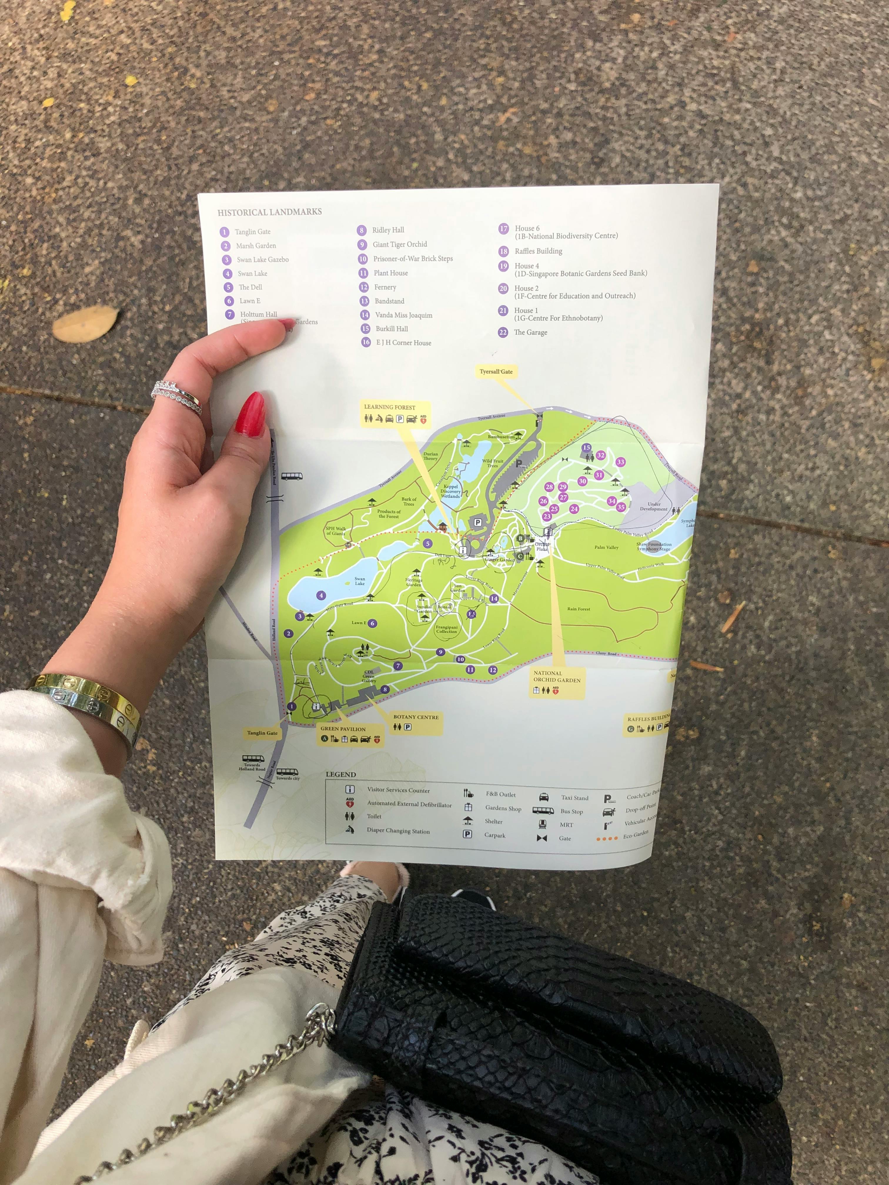 Person Holding City Map · Free Stock Photo