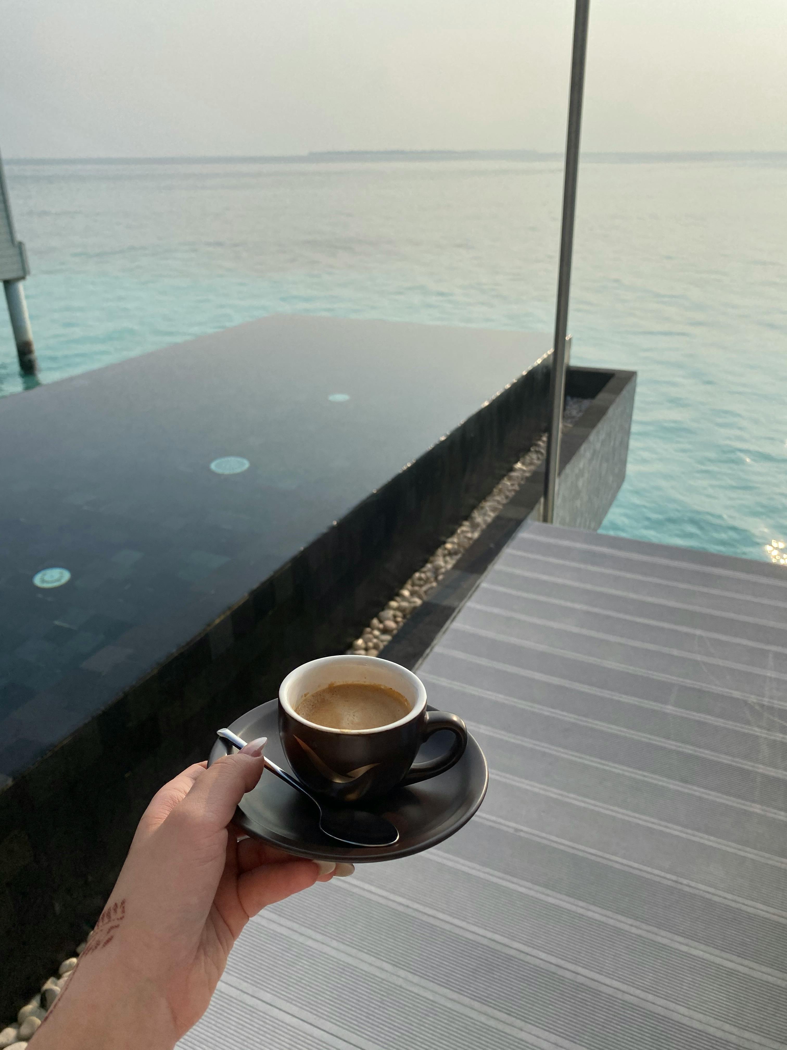 Ocena Photos, Download The BEST Free Ocena Stock Photos & HD Images