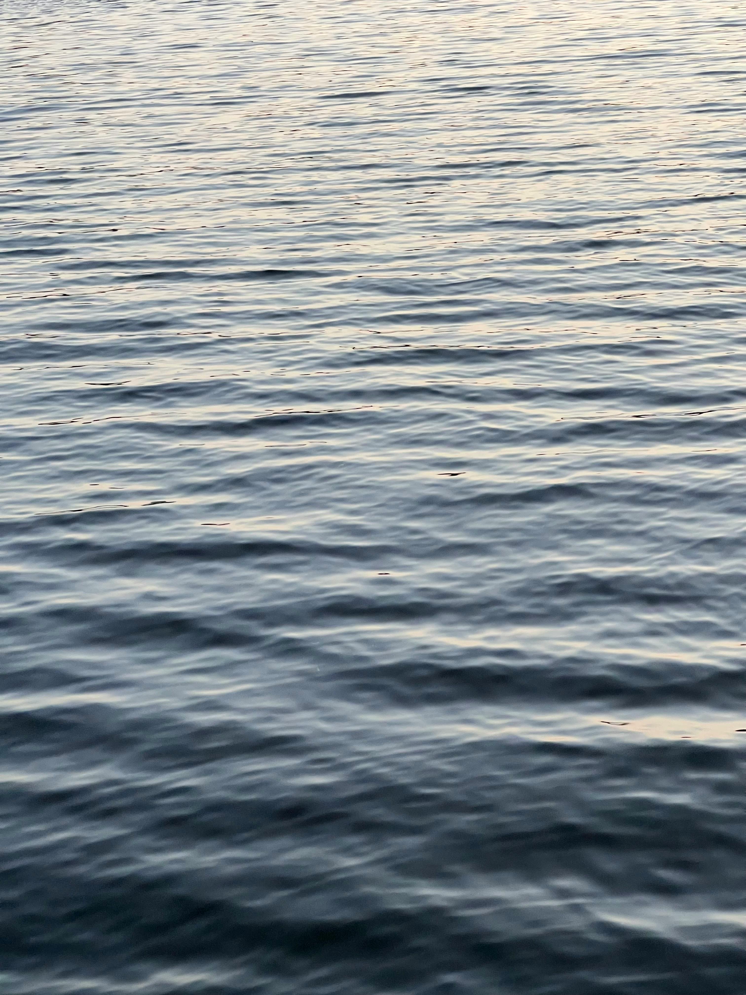 Water surface · Free Stock Photo