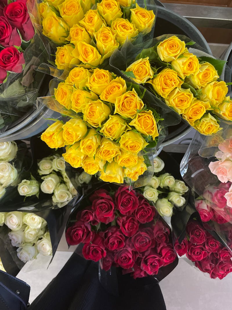 Red Yellow Roses Photos, Download The BEST Free Red Yellow Roses Stock ...