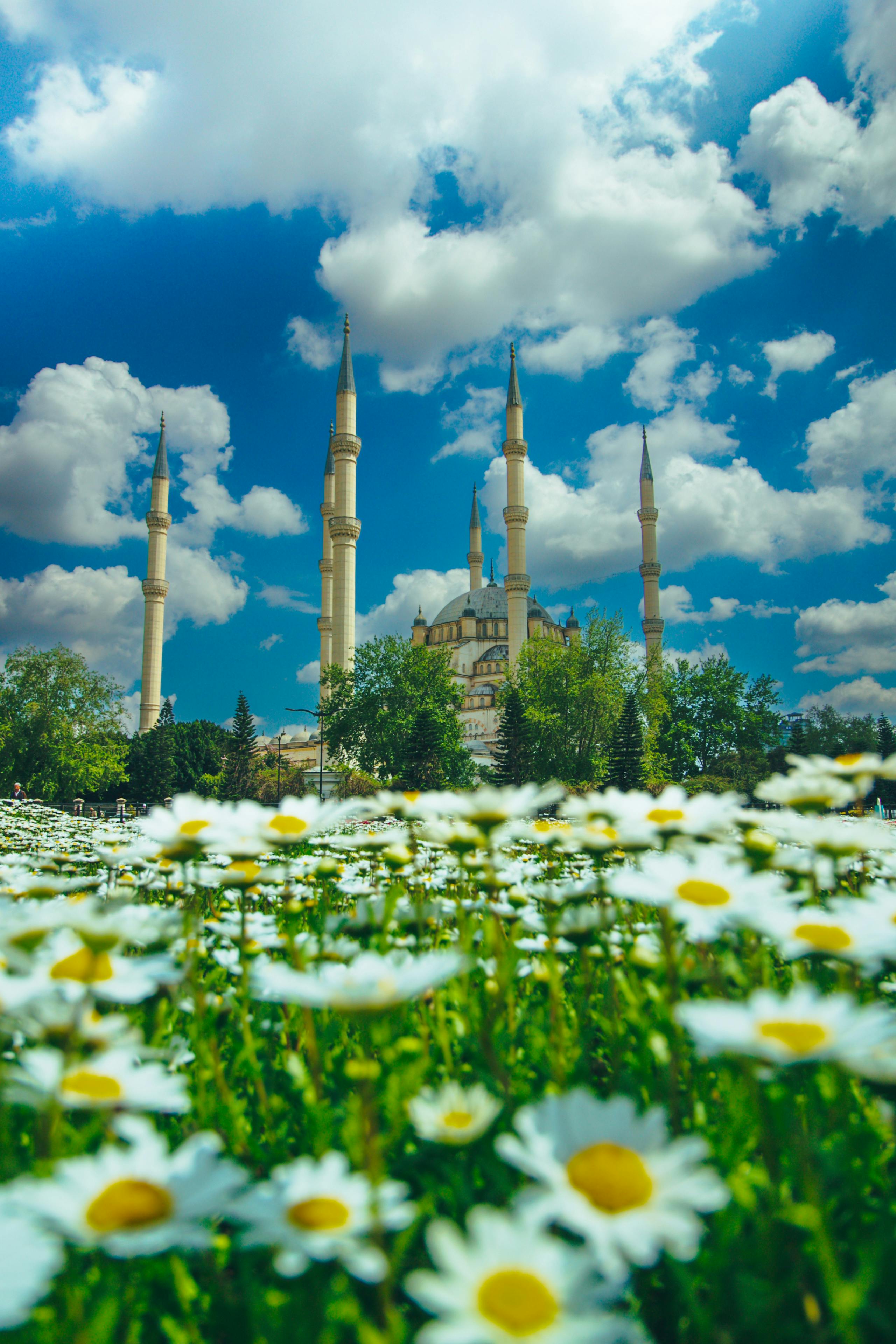 Natural Mosque Photos, Download The BEST Free Natural Mosque Stock ...