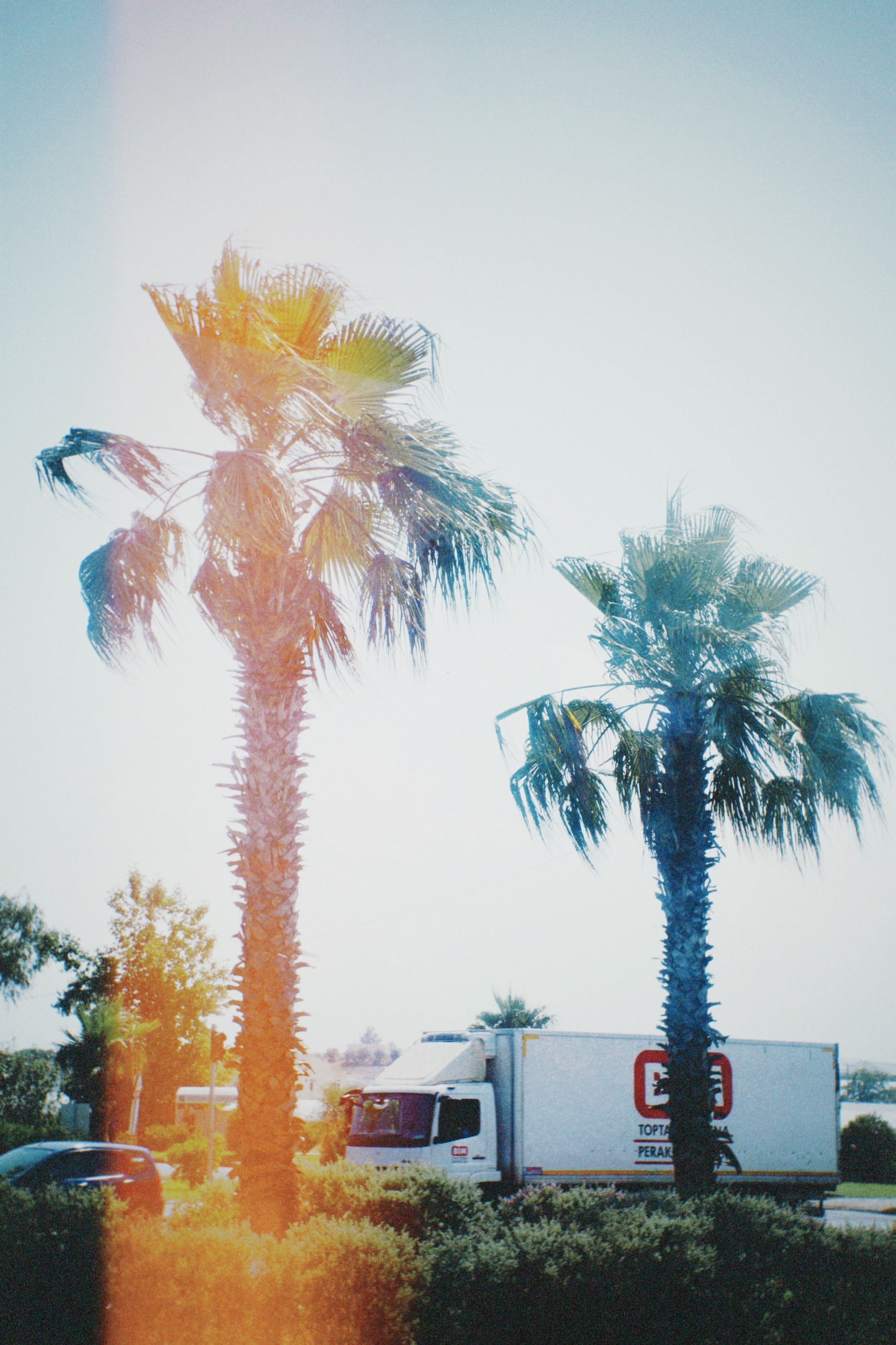 Identical Vehicles in Parking Lots · Free Stock Photo