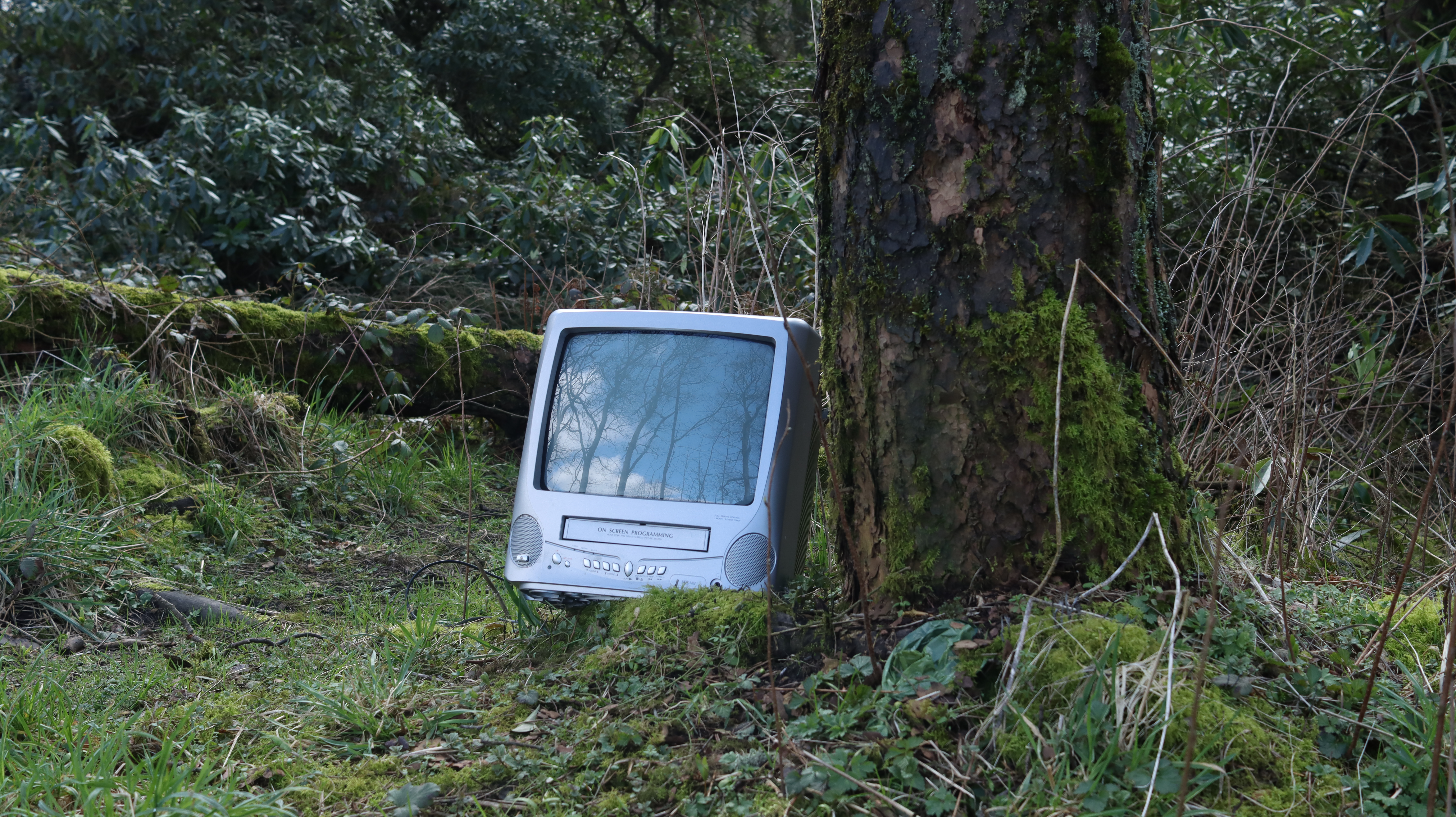 Abandoned TV near Tree · Free Stock Photo