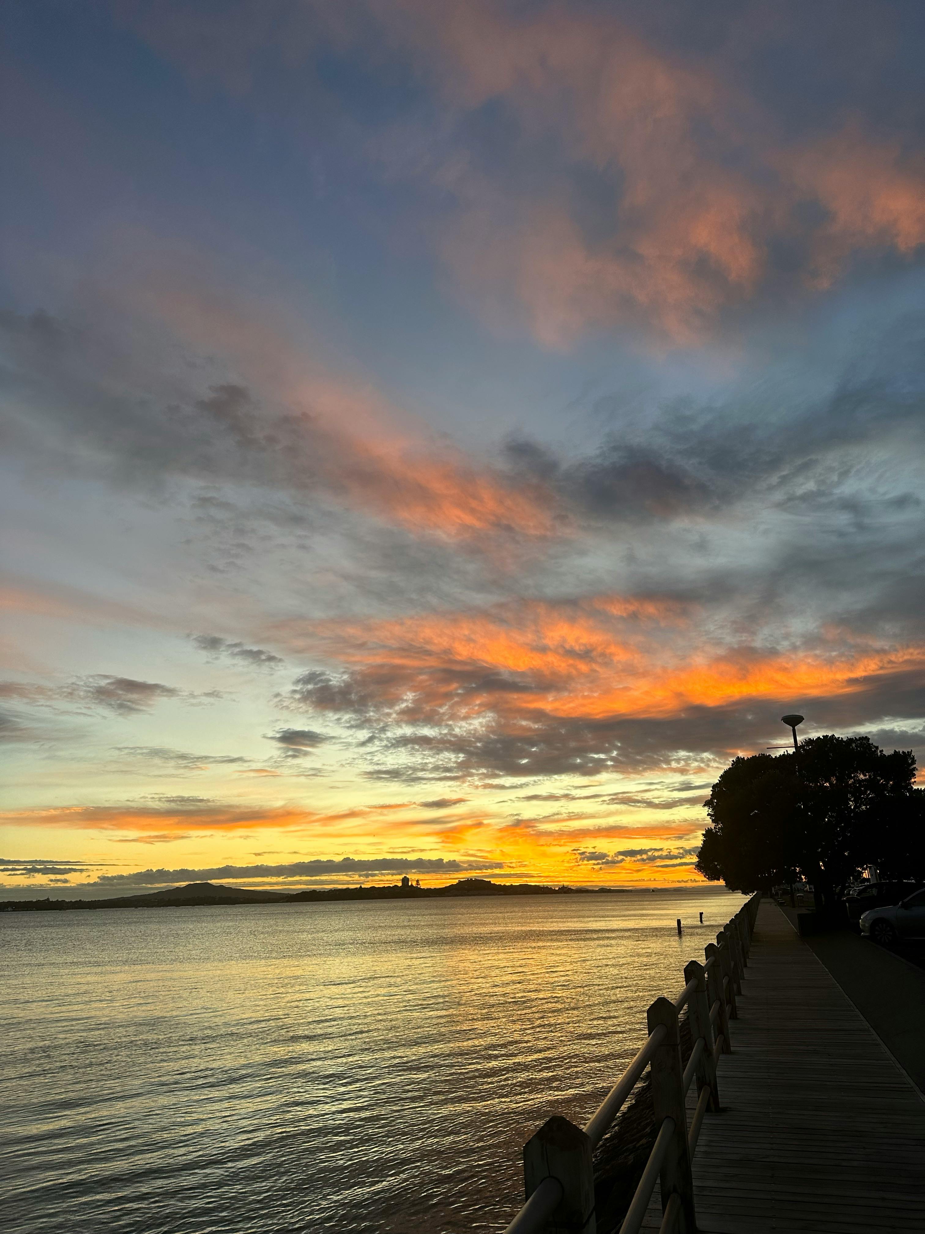 Nicholas Ang - 摄影