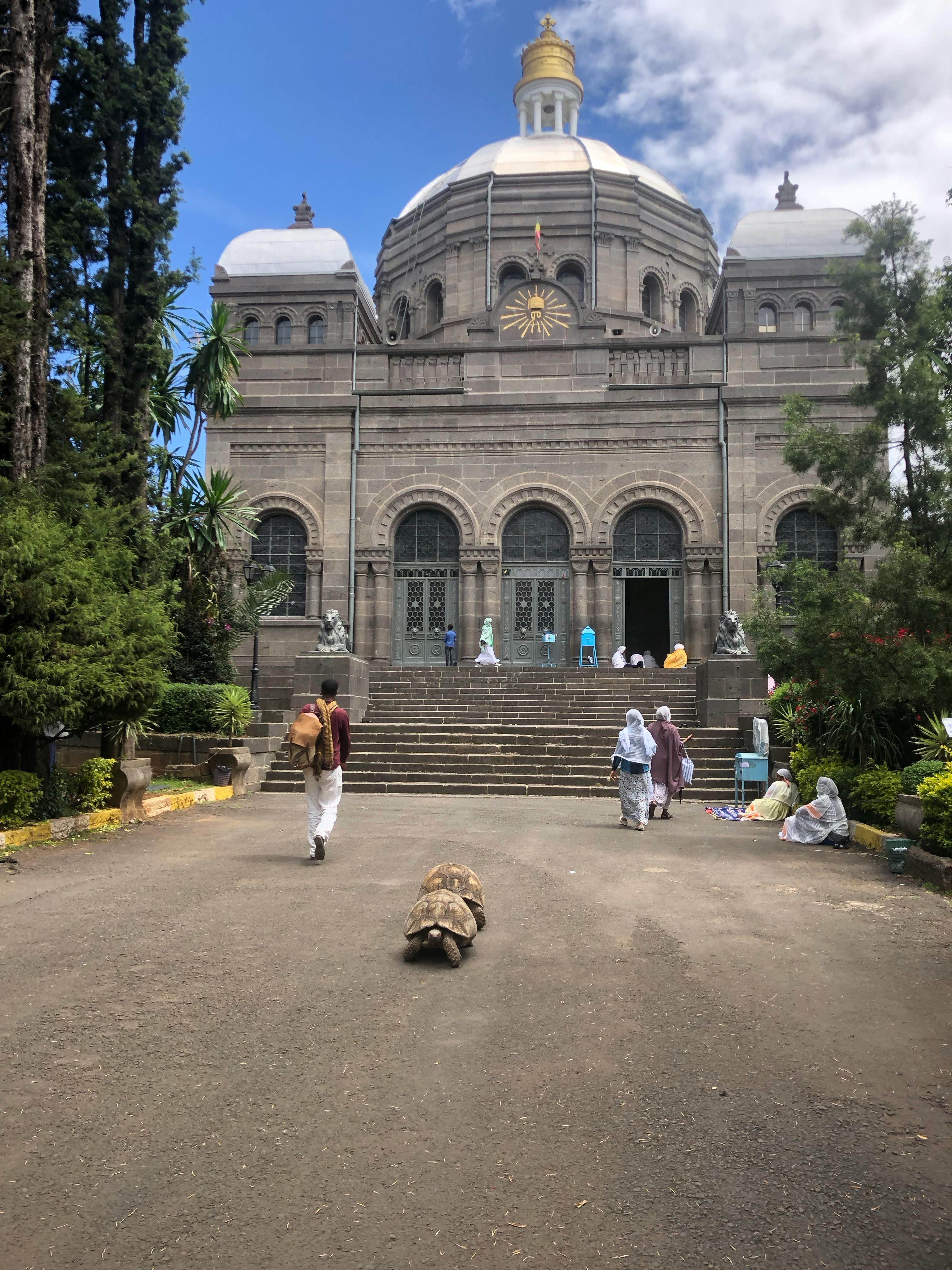 Emanuel David - Fotografía