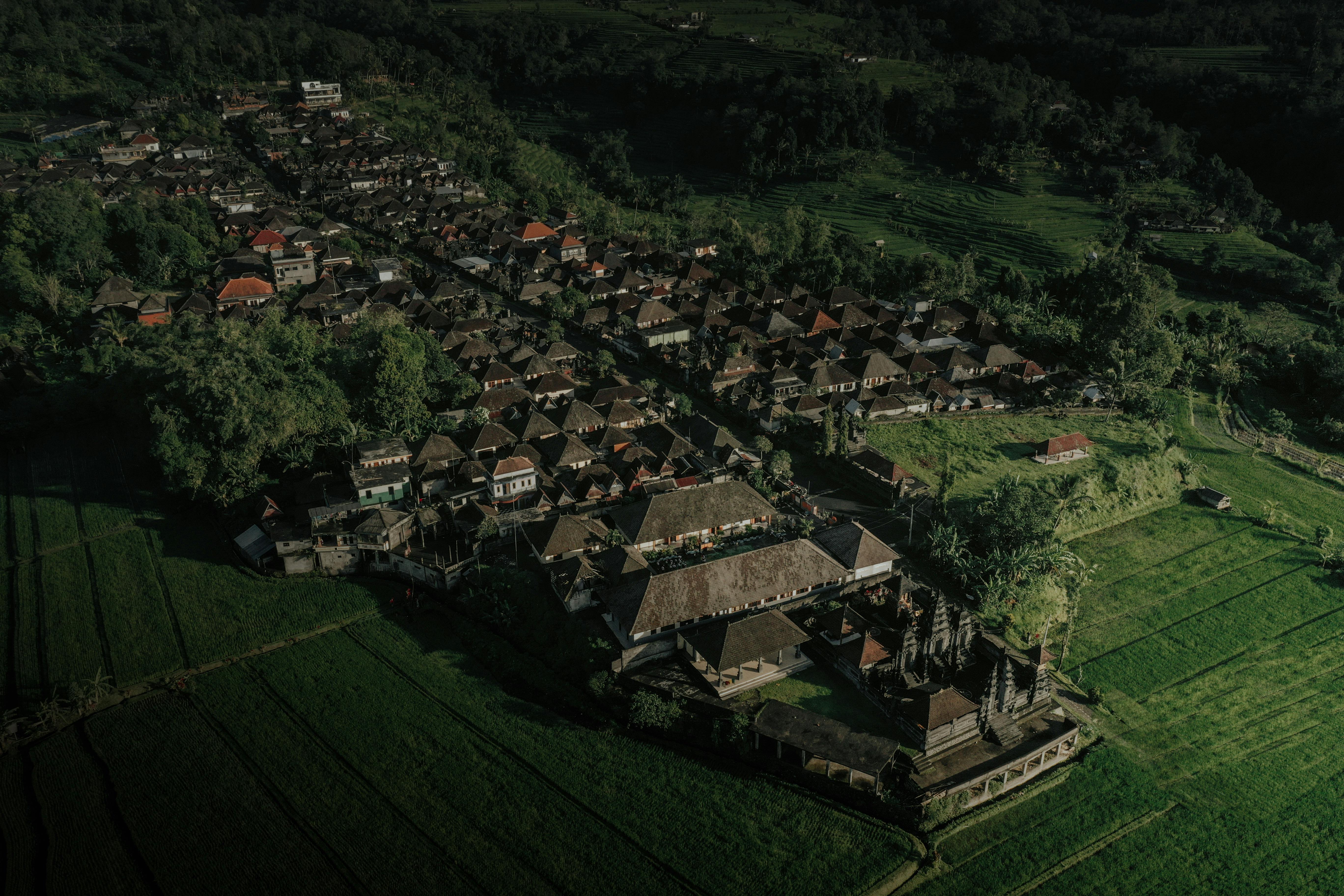 Foto de stock gratuita sobre bali, campos, foto con dron, fotografía ...