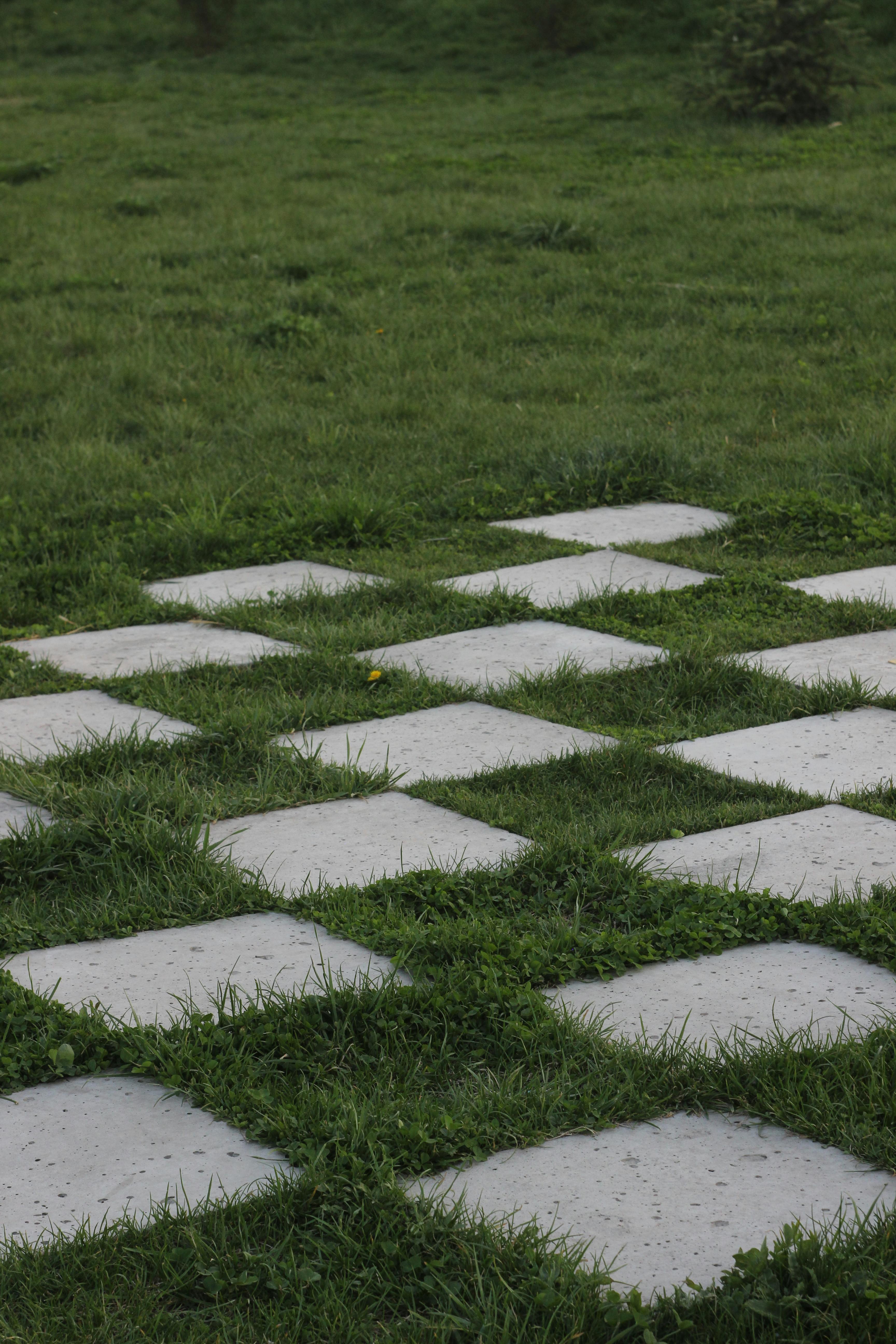 Checkered Pattern on Grass · Free Stock Photo