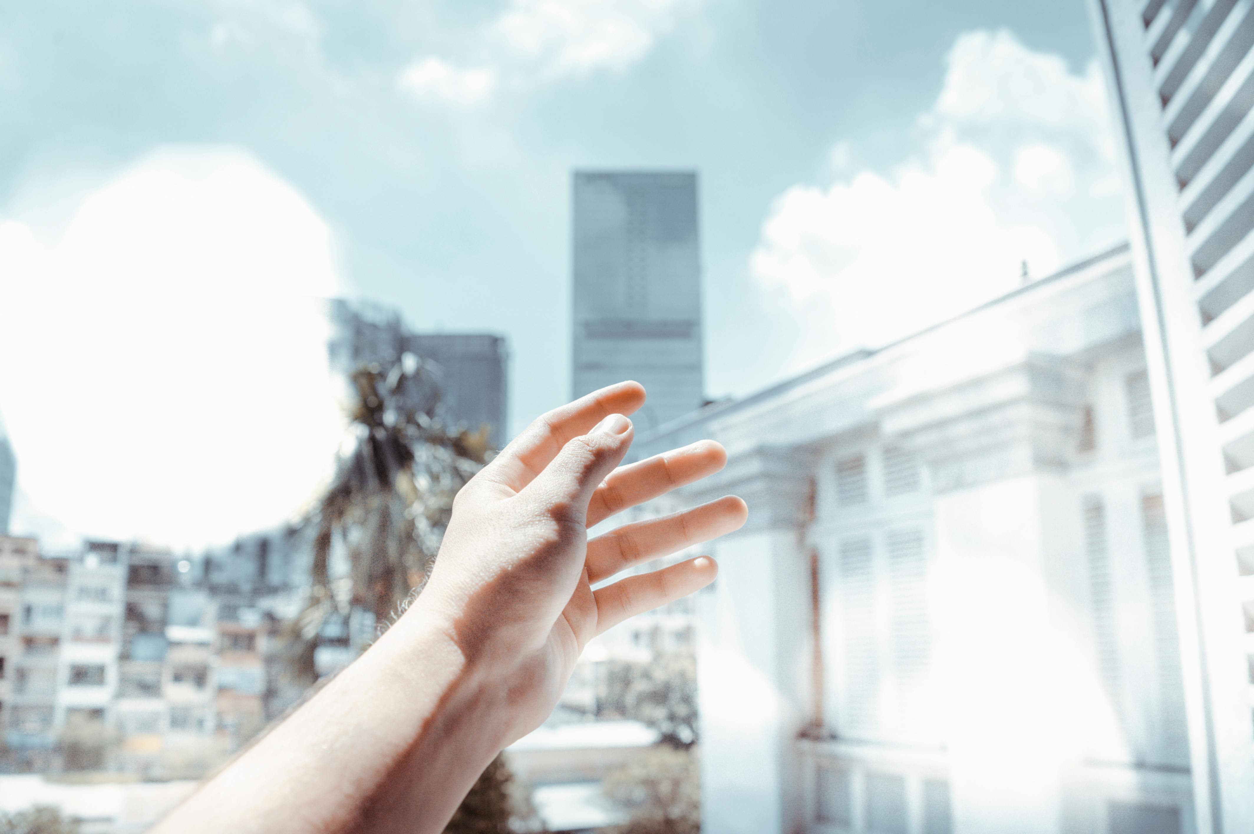 Person's Left Hand · Free Stock Photo