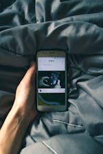 Pexel Photos, Download Free Pexel Stock Photos & HD Images