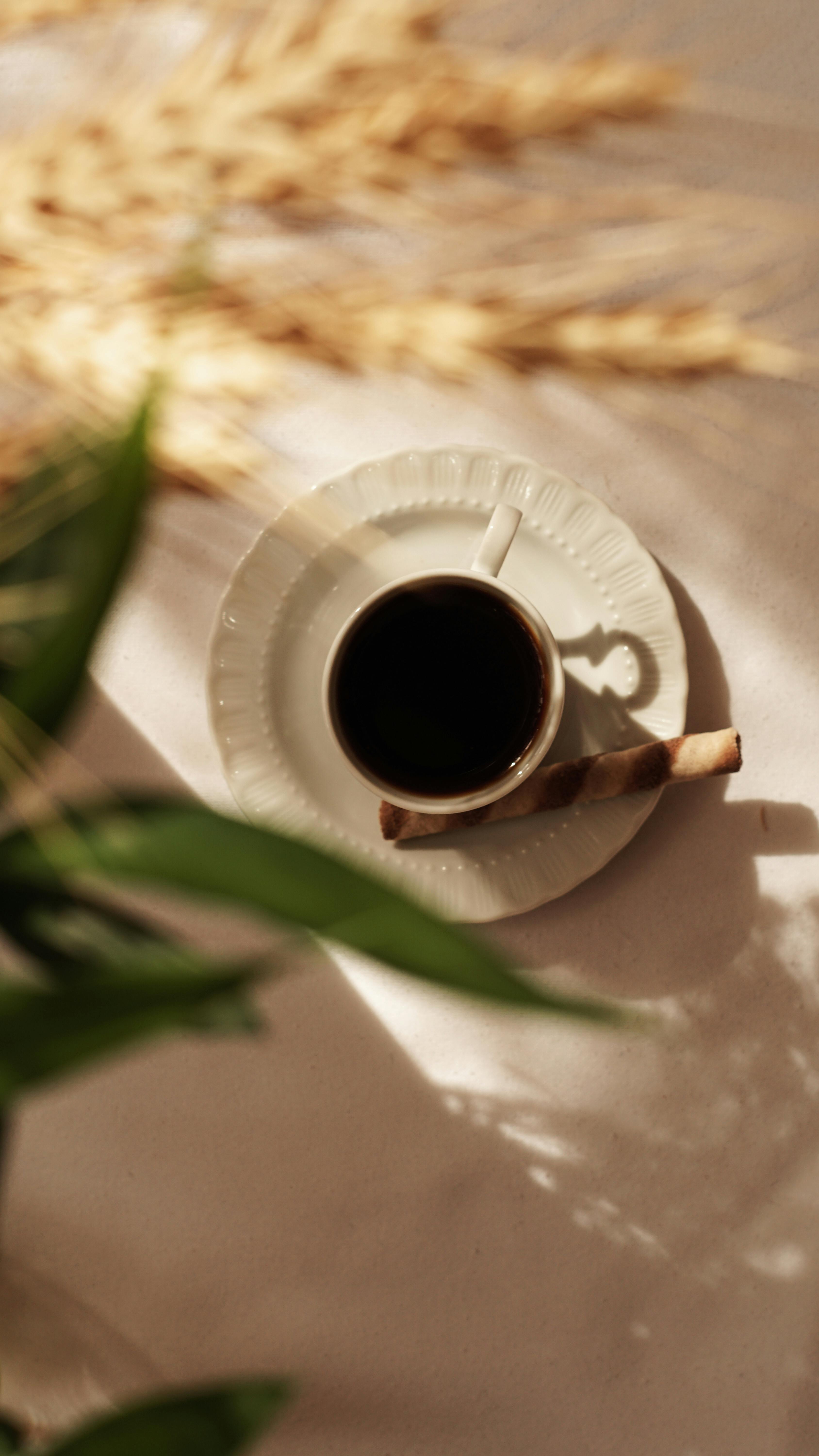 Topkapi Saraya Photos, Download The BEST Free Topkapi Saraya Stock ...