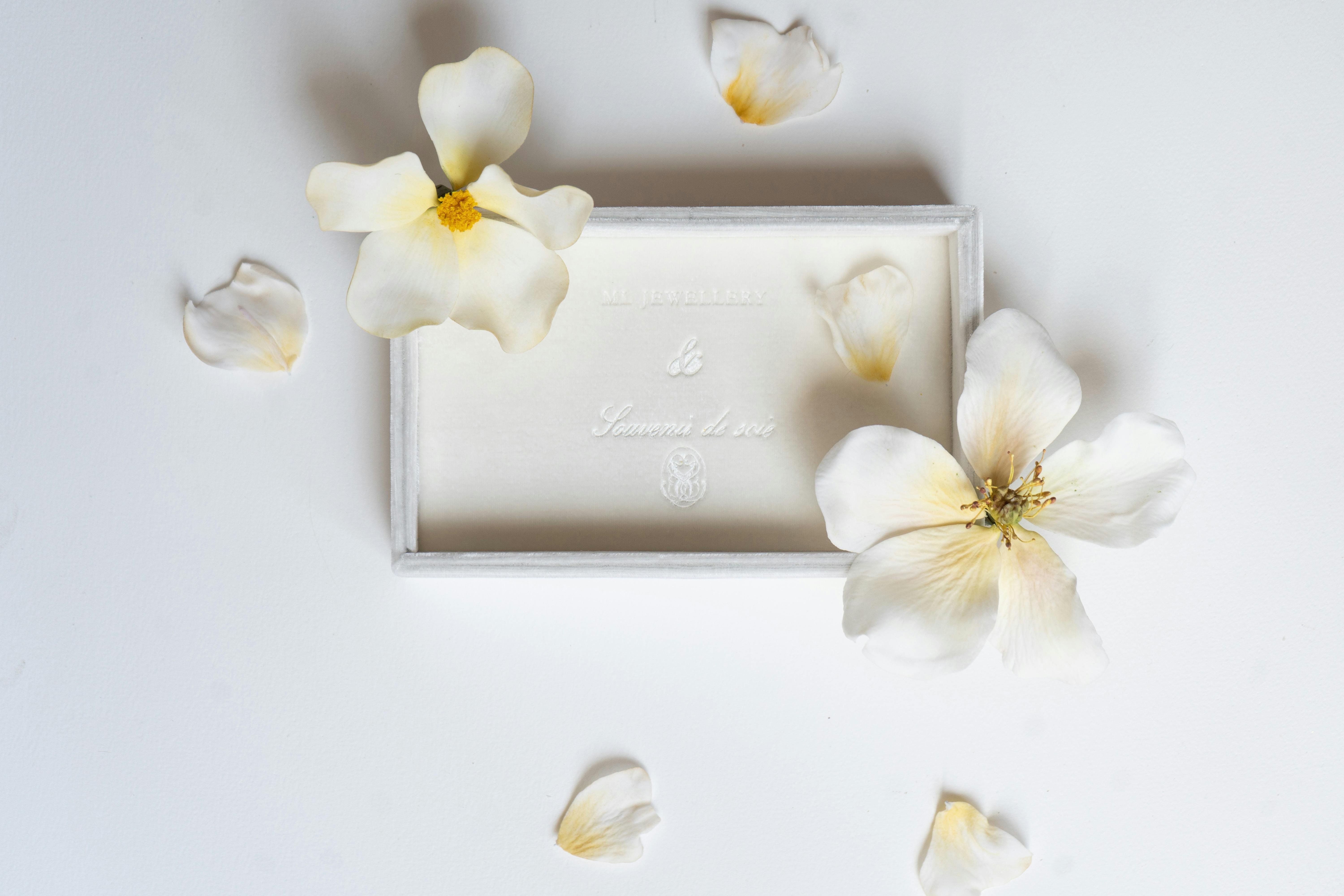 Slap Box Photos, Download The BEST Free Slap Box Stock Photos & HD Images