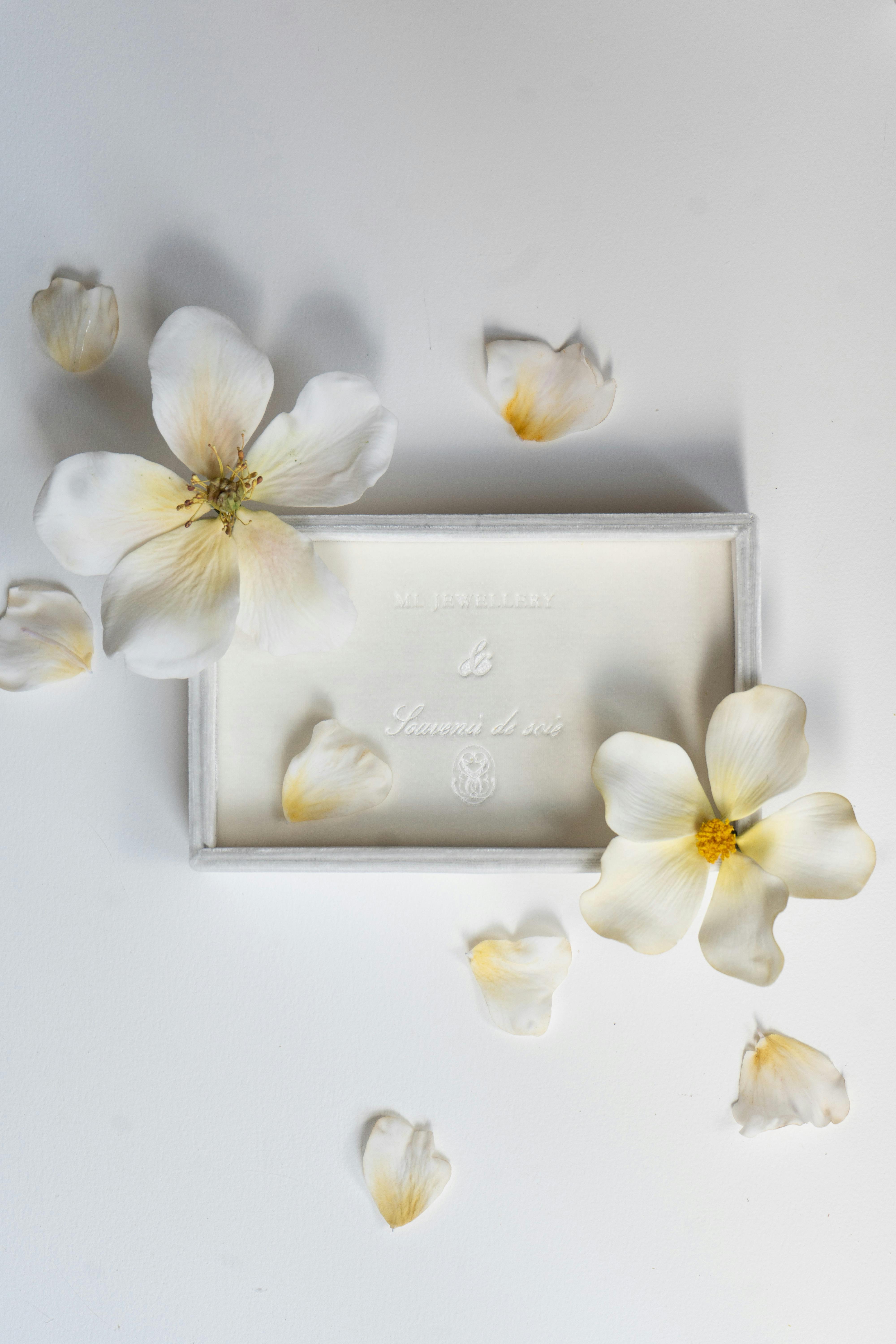 Slap Box Photos, Download The BEST Free Slap Box Stock Photos & HD Images