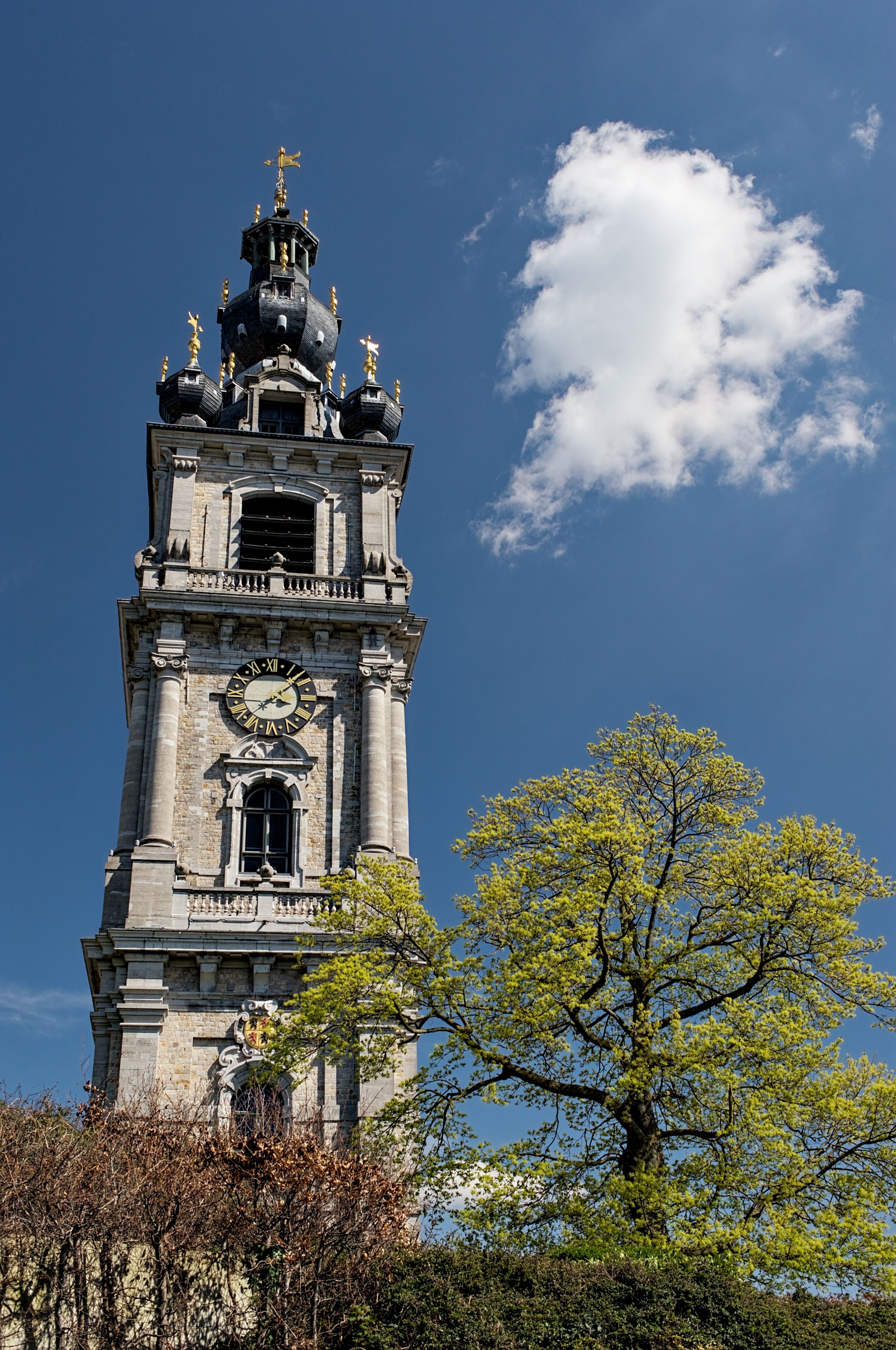 Old stone basilica facade near greenery trees in town · Free Stock Photo