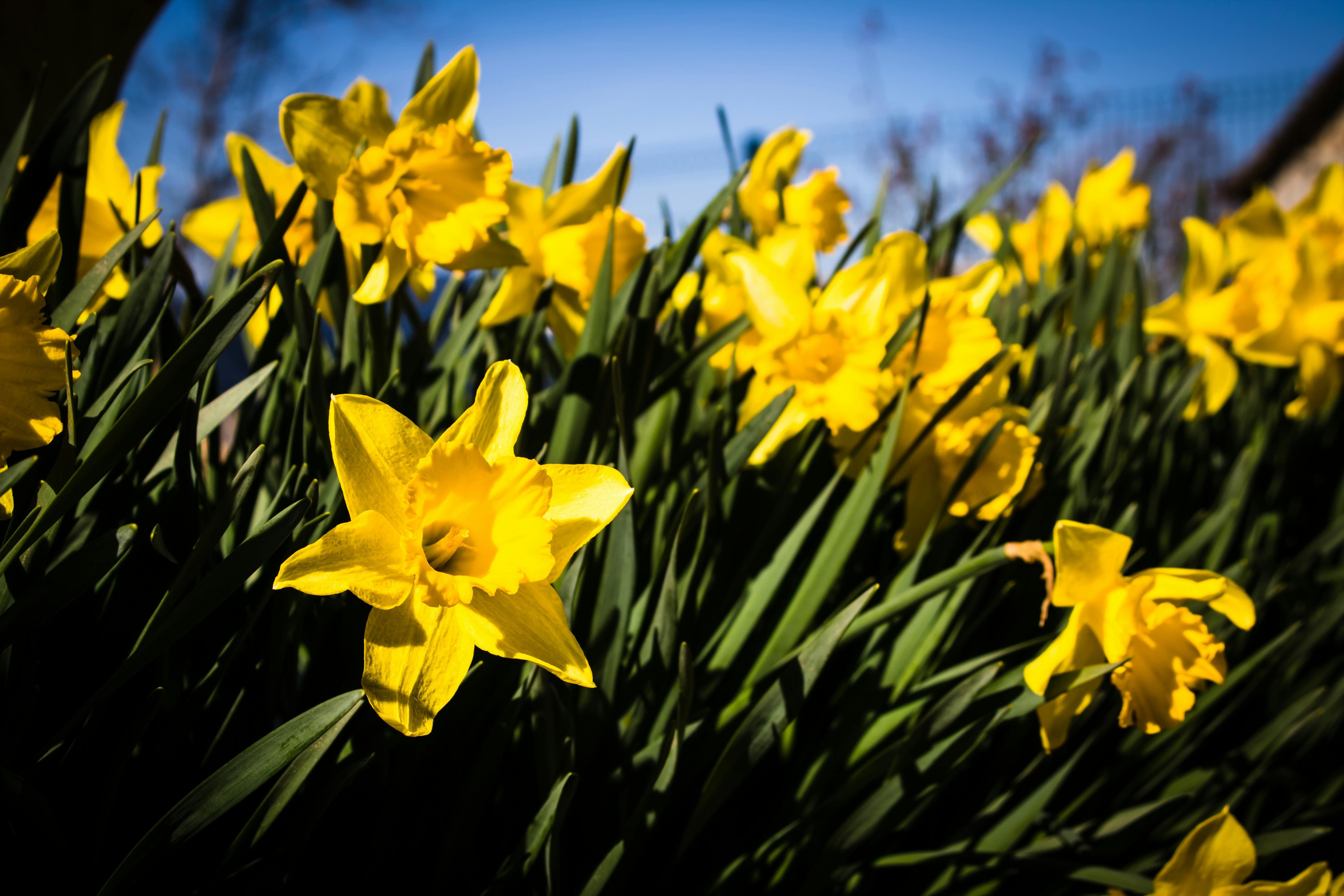 Djordje Ristic - Fotografía