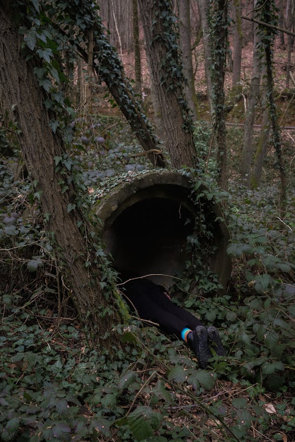 Overgrown Concrete Photos, Download The BEST Free Overgrown Concrete ...