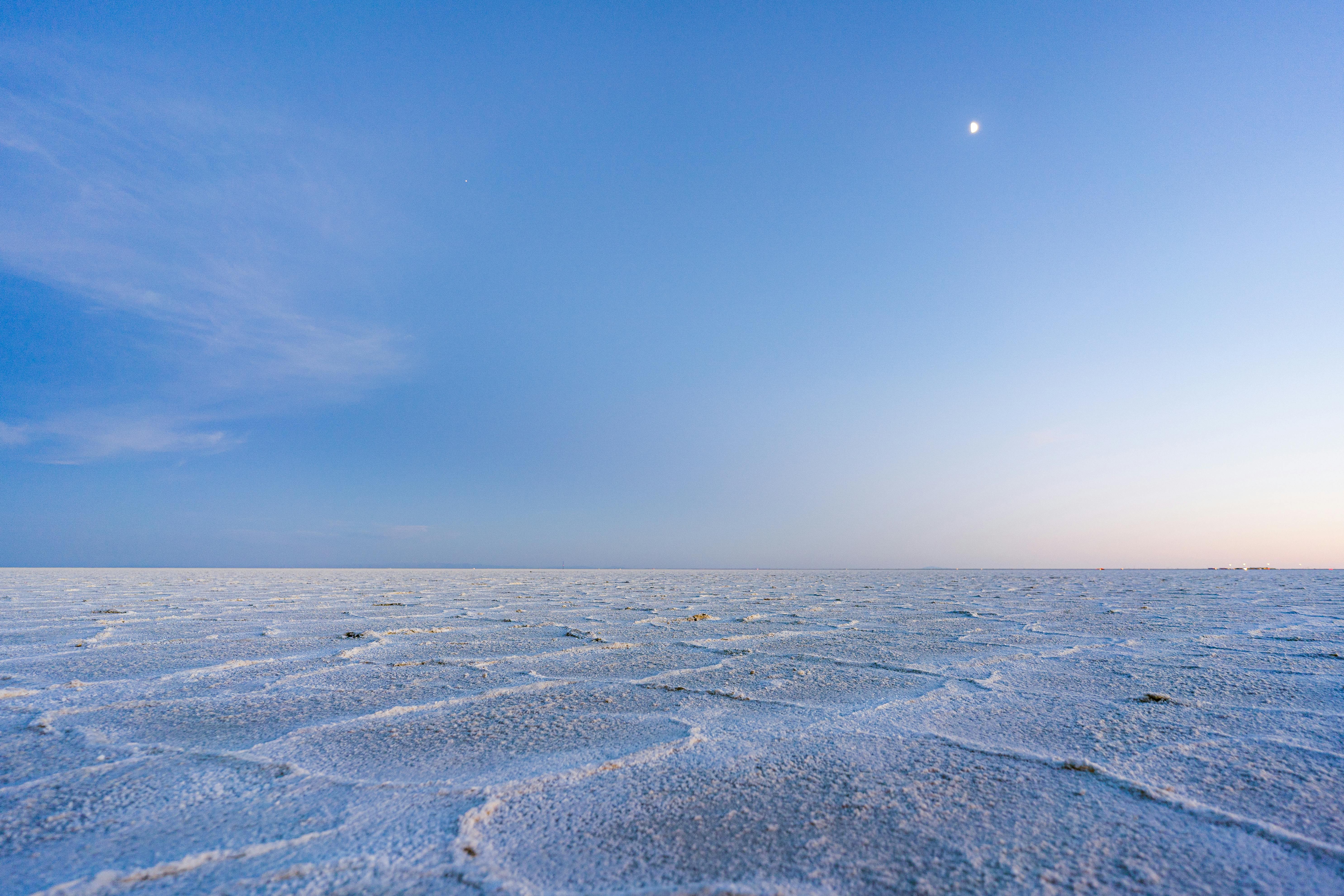 Barren Snow Landscape · Free Stock Photo