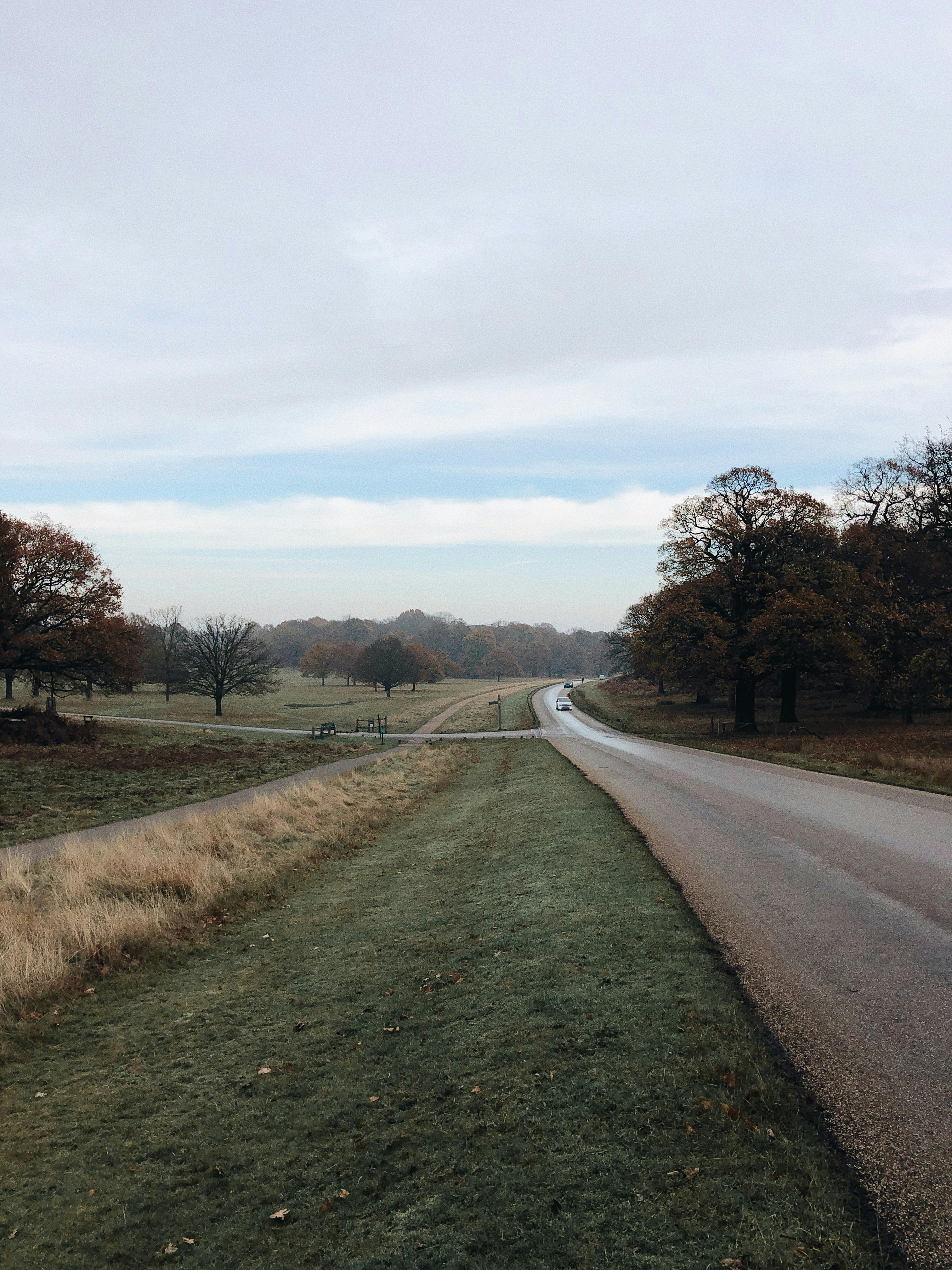 Road Near Green Grass Field · Free Stock Photo