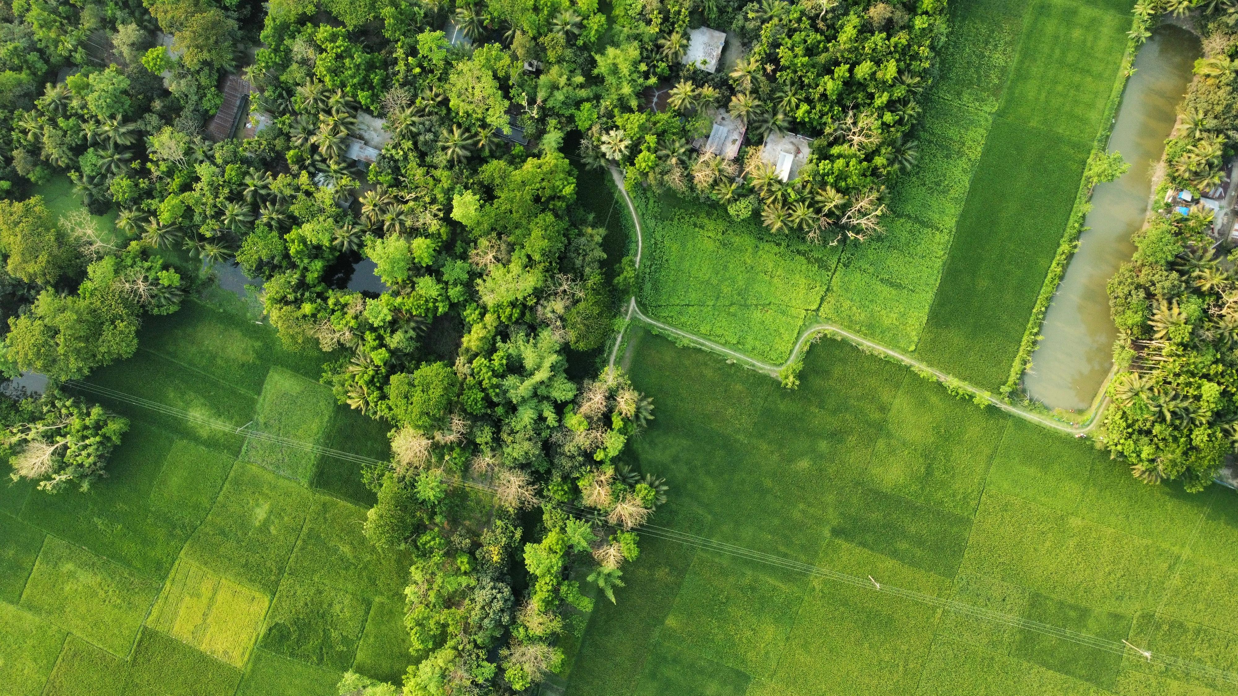 Land Allocation Photos, Download The BEST Free Land Allocation Stock ...