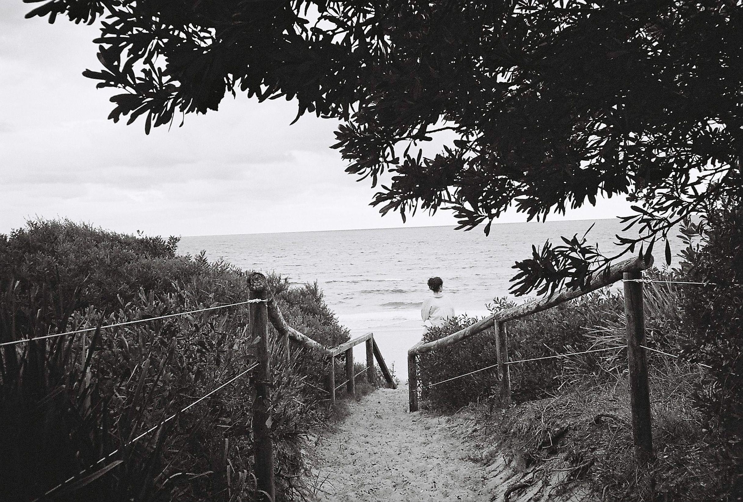Black and White Photo of a Woman Walking into the Sea · Free Stock Photo