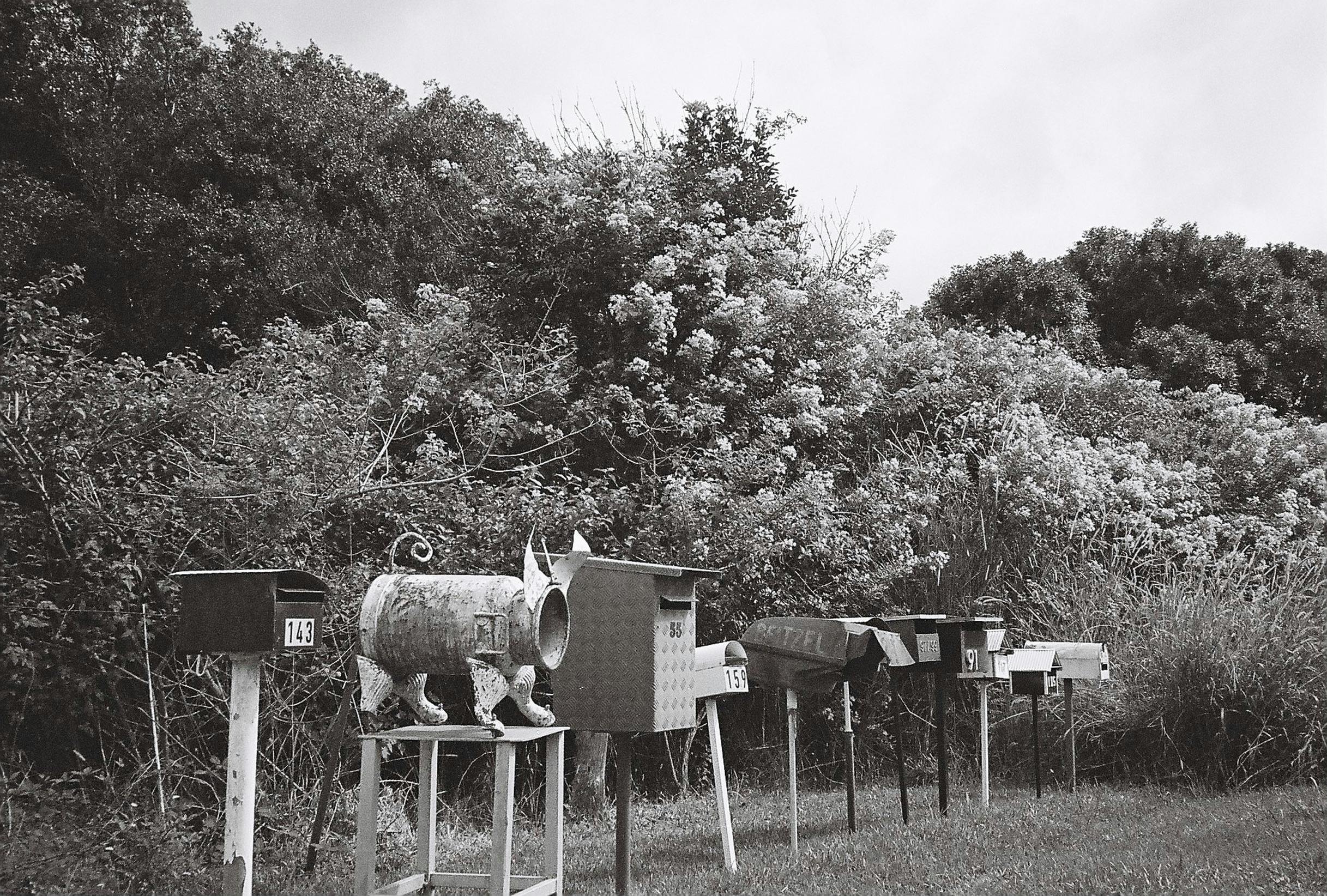 Seal Interpretative Photos, Download The BEST Free Seal Interpretative ...