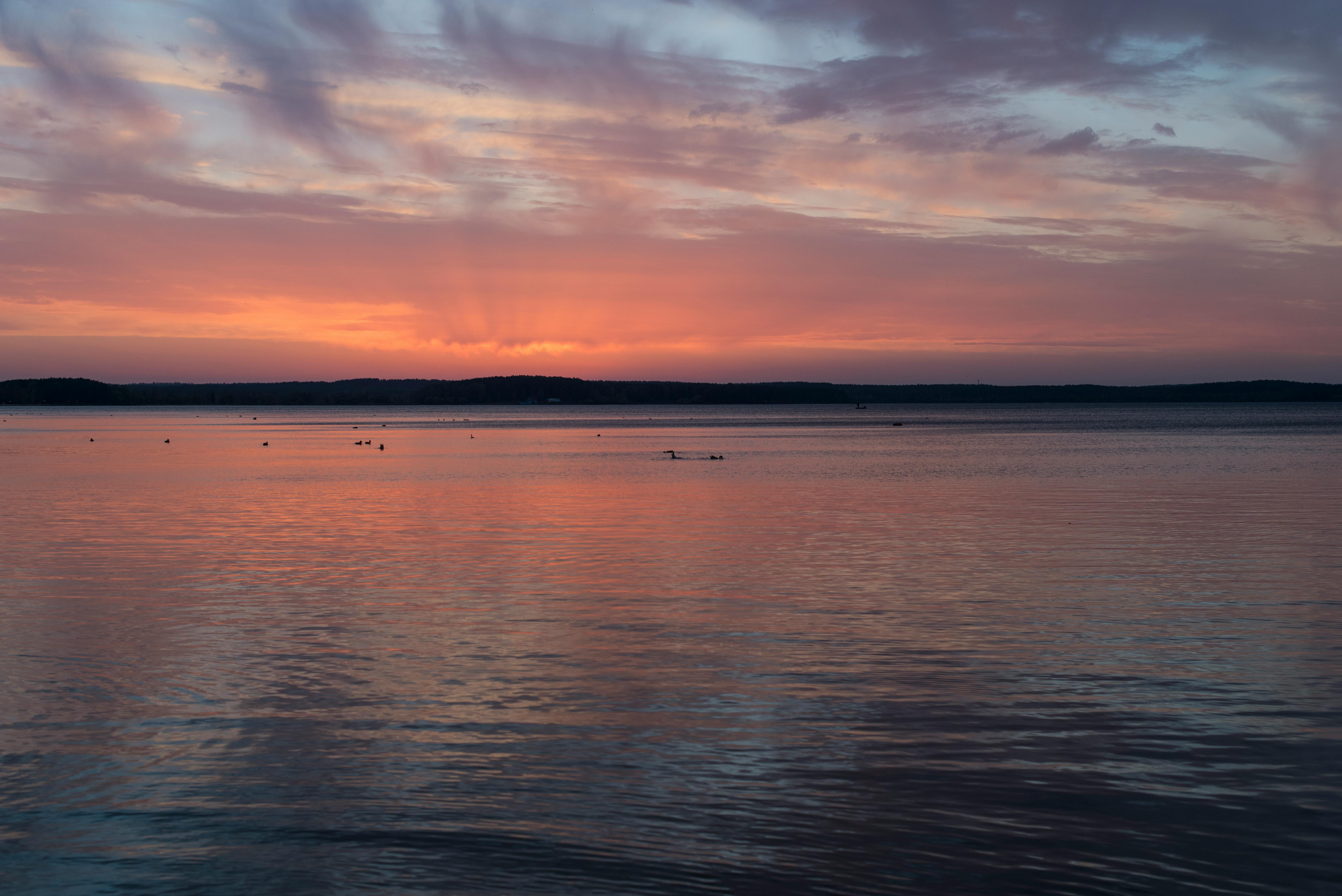 Pink Sunset Sky over the Lake · Free Stock Photo