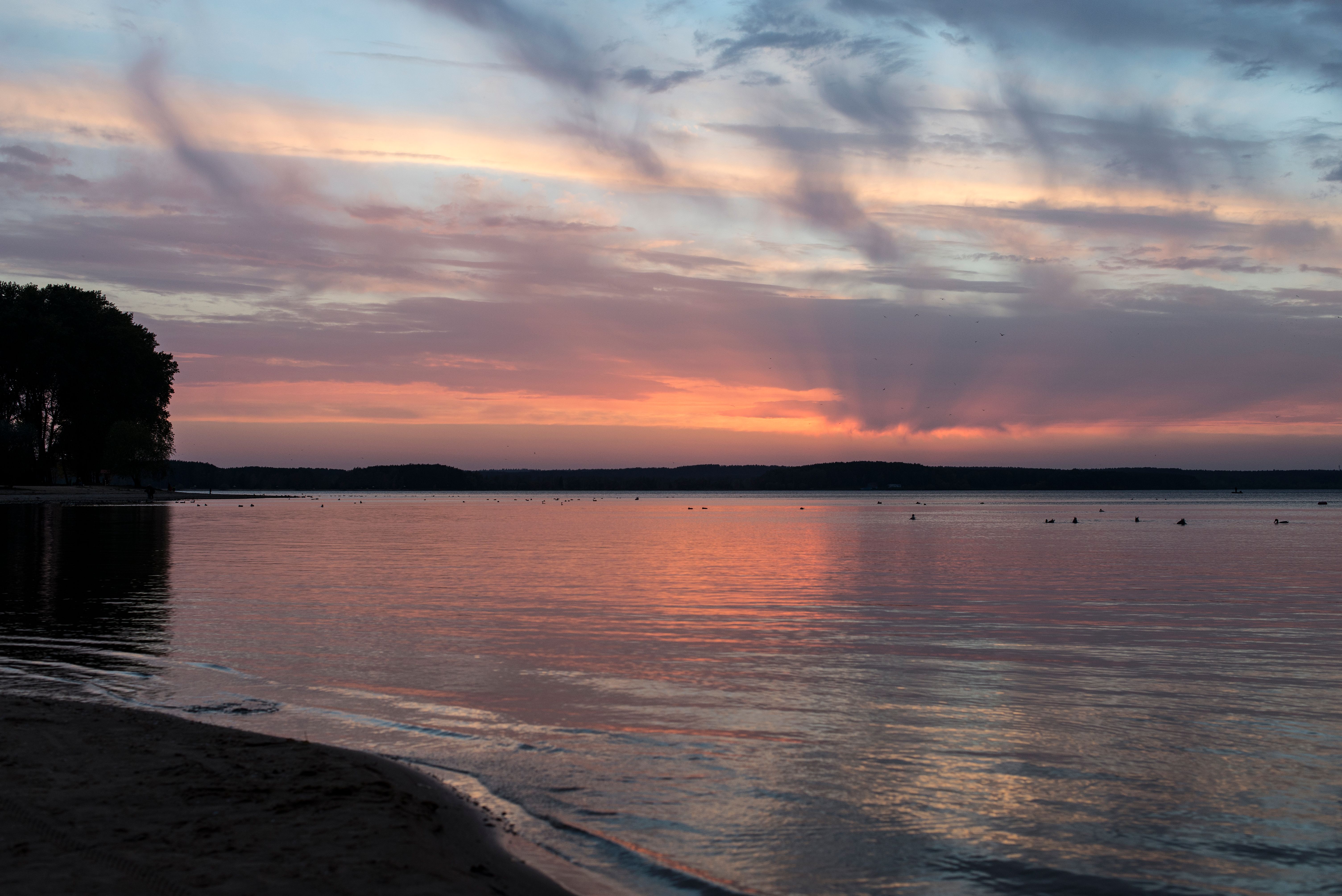 Overcast over Lakeshore at Sunset · Free Stock Photo