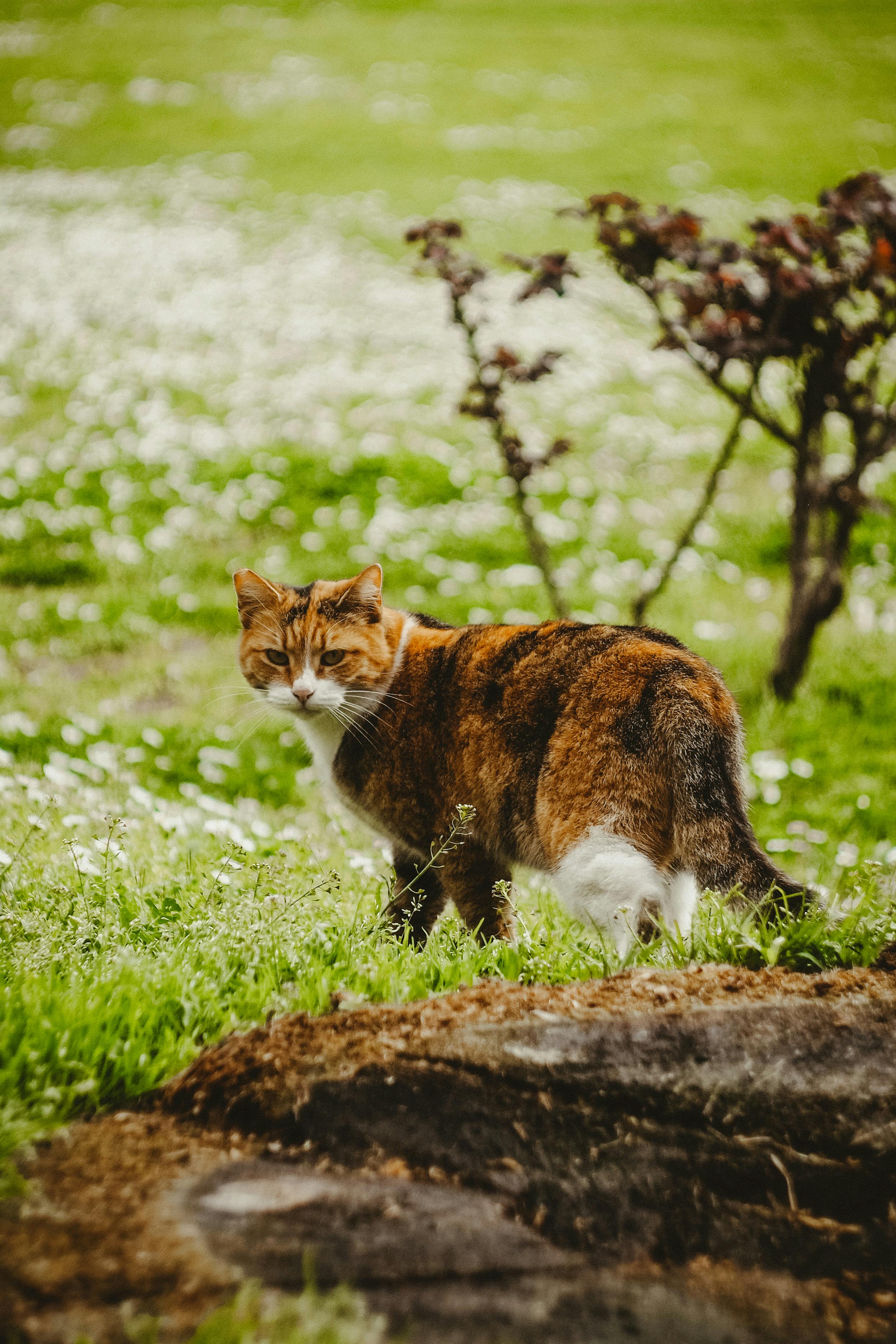 Epl9 Camera Photos, Download The BEST Free Epl9 Camera Stock Photos ...